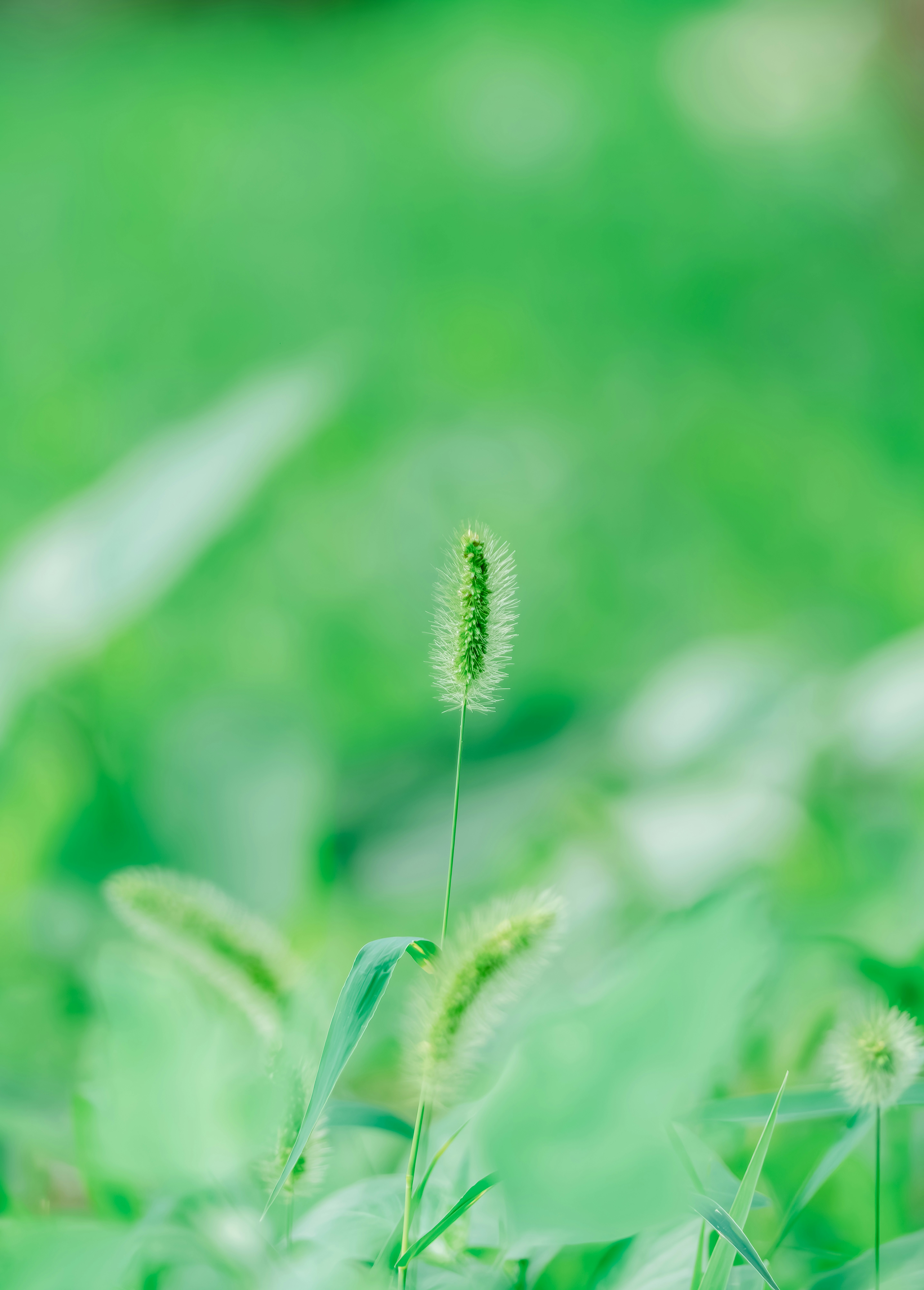 Photo by chris wang with Leica V-LUX 4