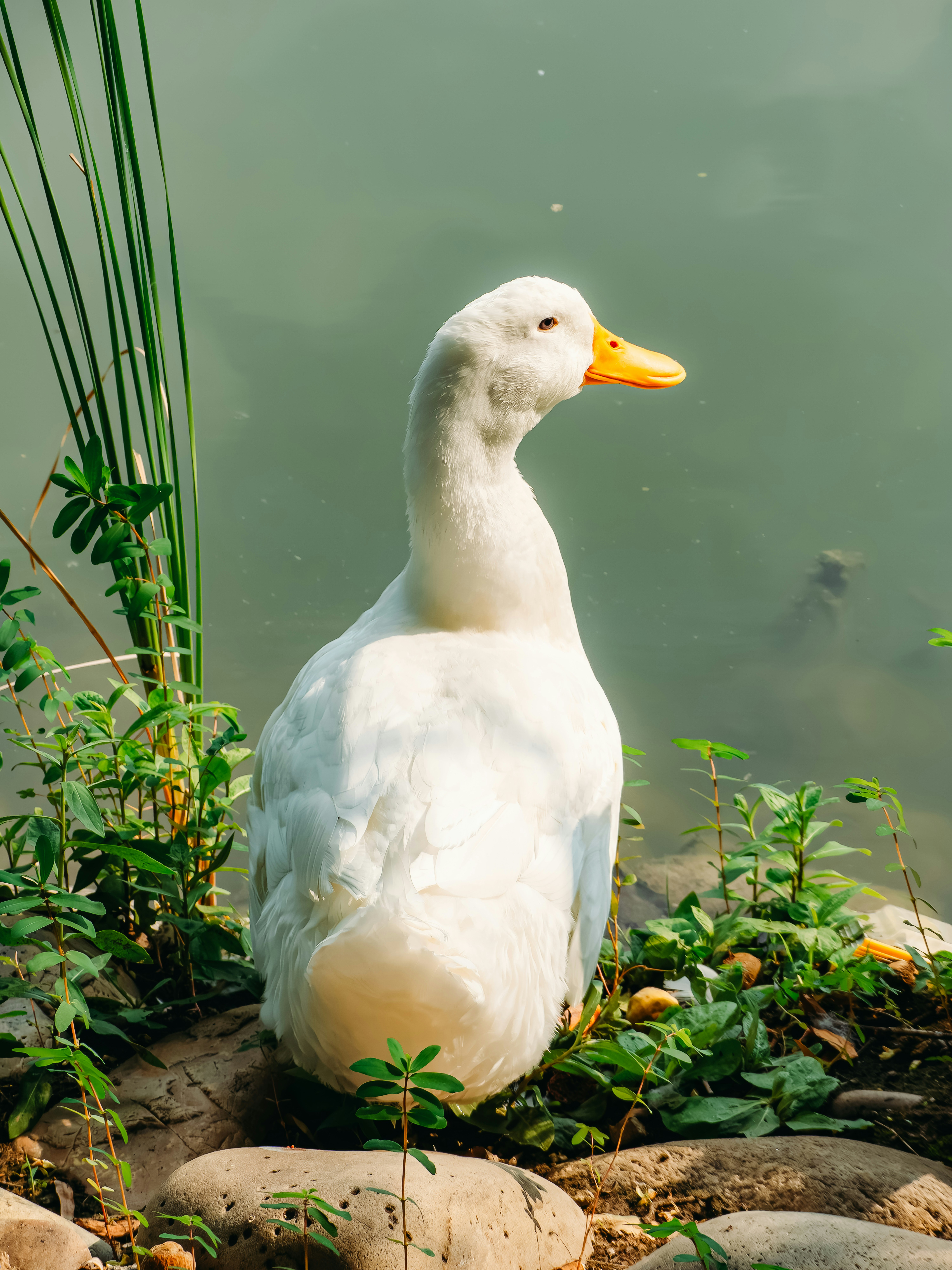 Sample photo from Leica V-LUX 4