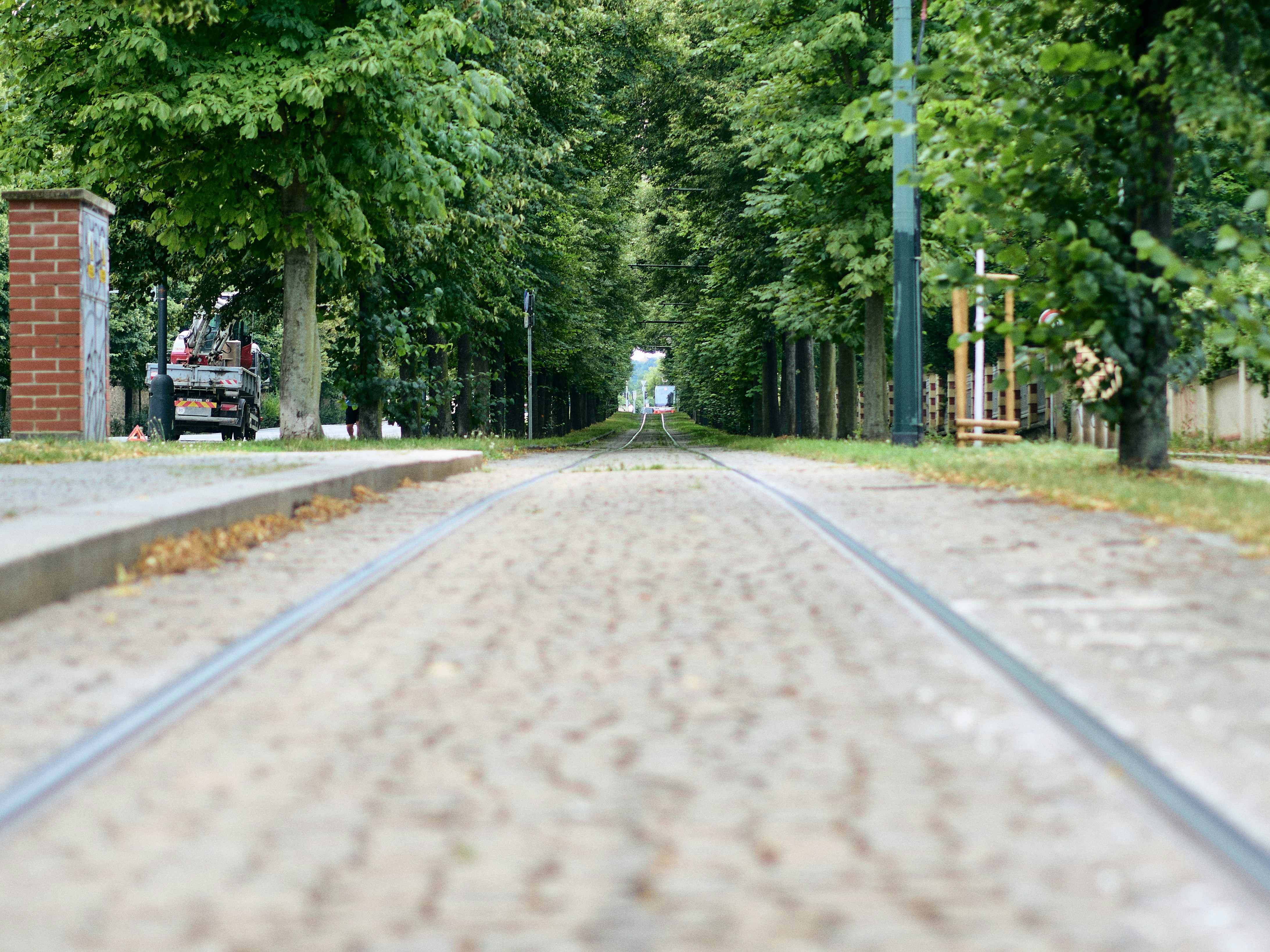 A street photograph of tram tracks running through a tree-lined avenue, converging toward a distant figure. Parked cars and lush greenery flank the calm urban corridor.