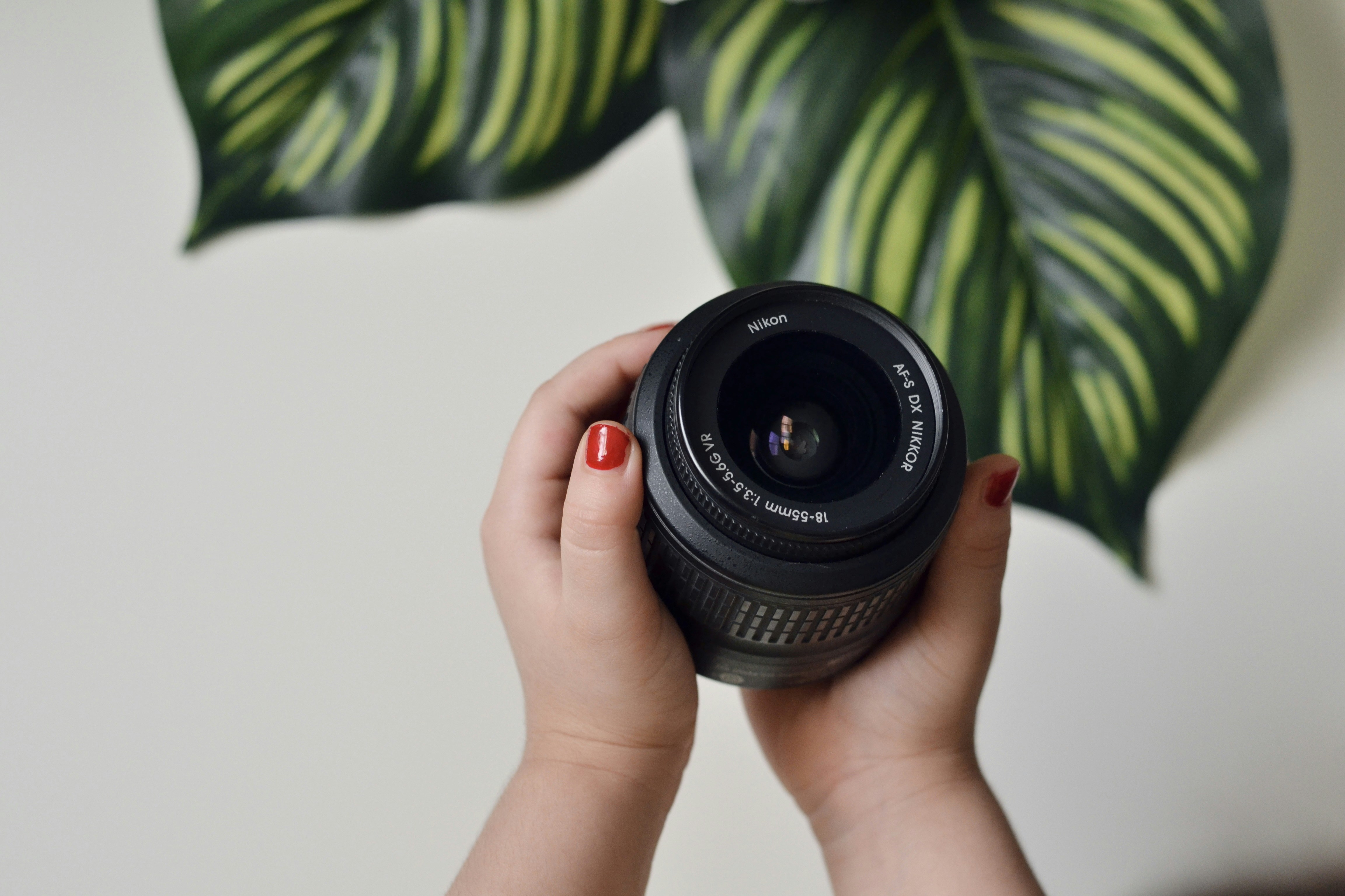 Gripped Focus: Close-Up of a Nikon Lens in Hand Against a Leafy Backdrop