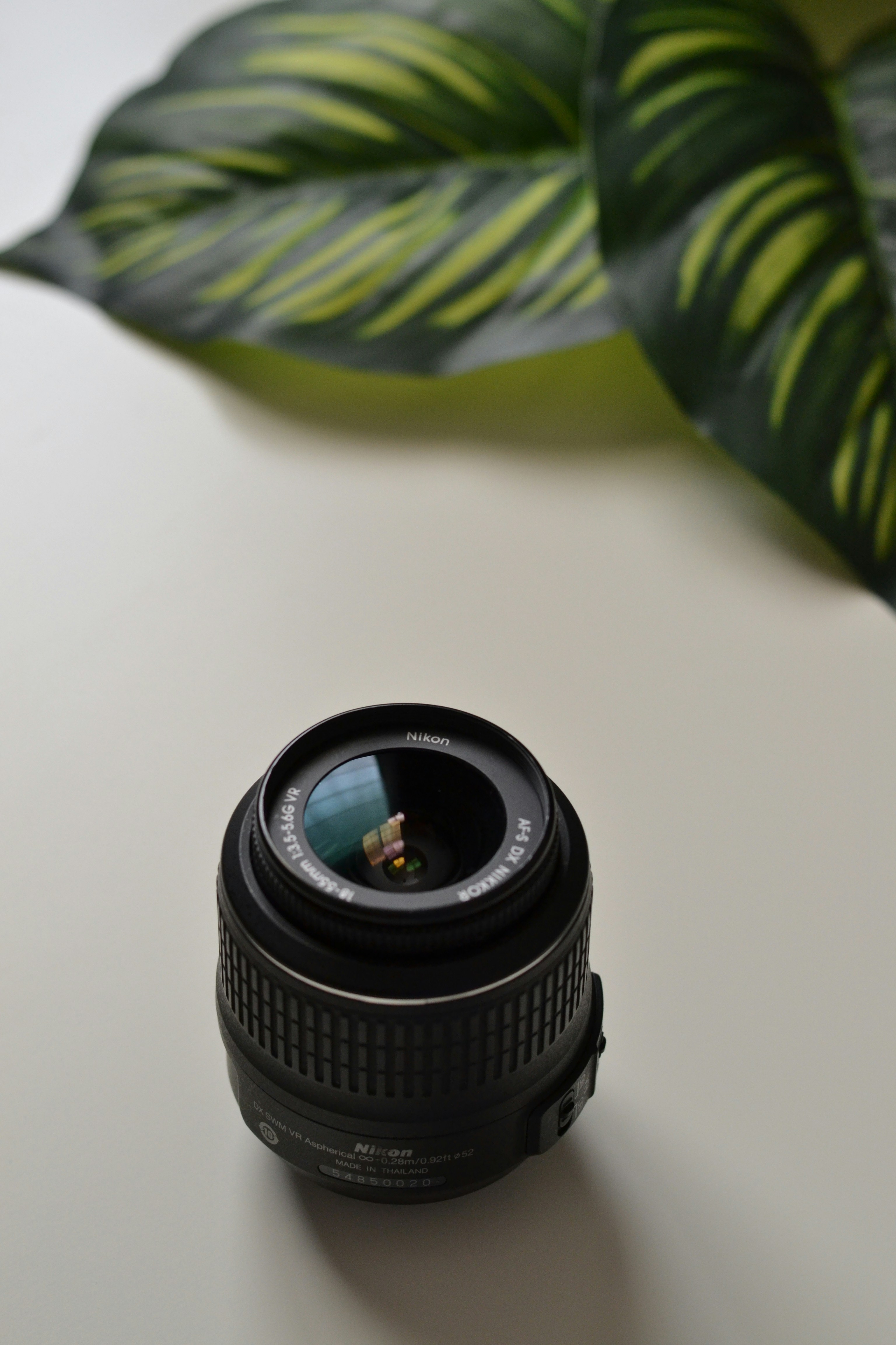 Studio Stillness: Nikon Lens Centered on White With Variegated Leaf Backdrop