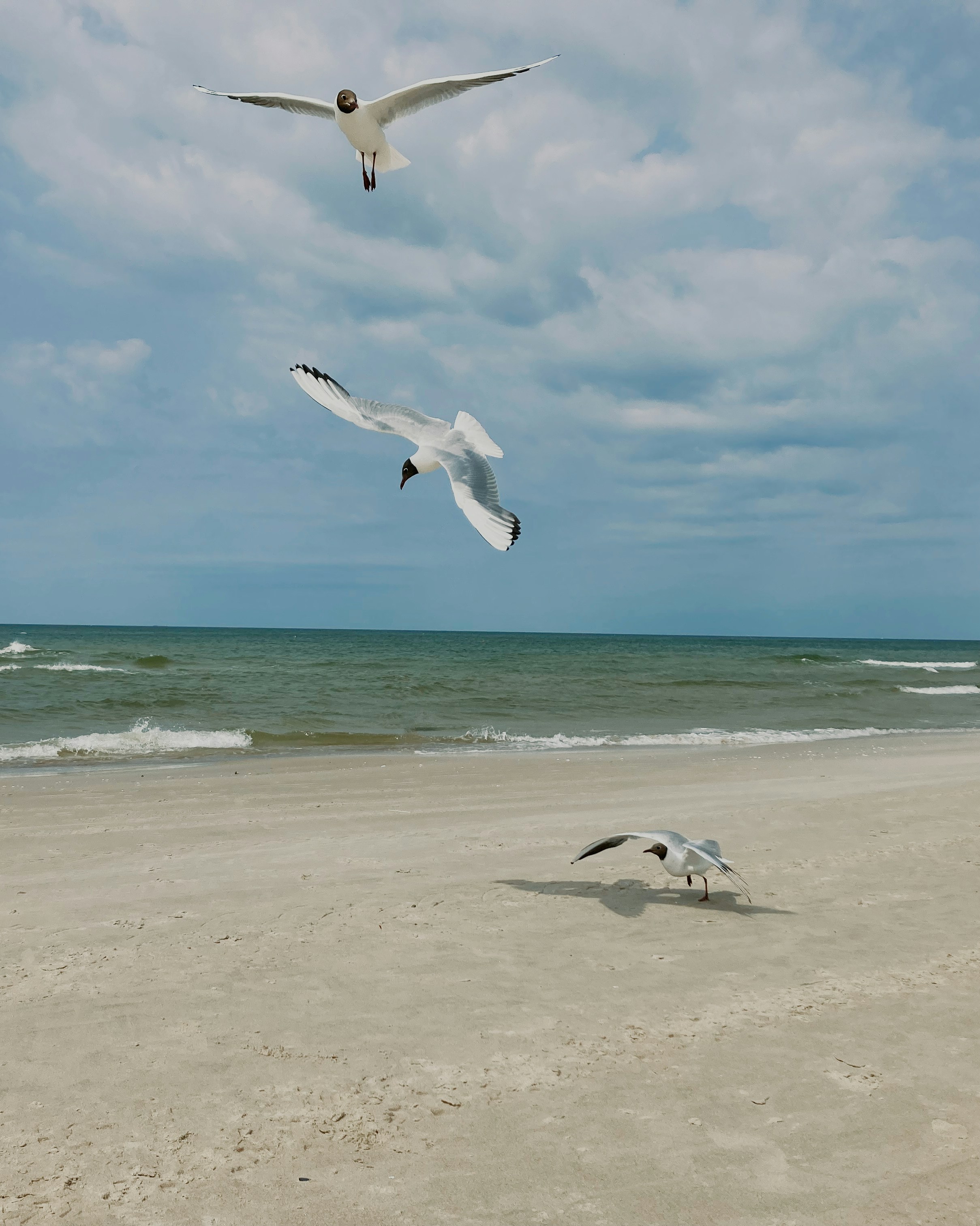 Photo by Tomas Bankauskas with Apple iPhone SE