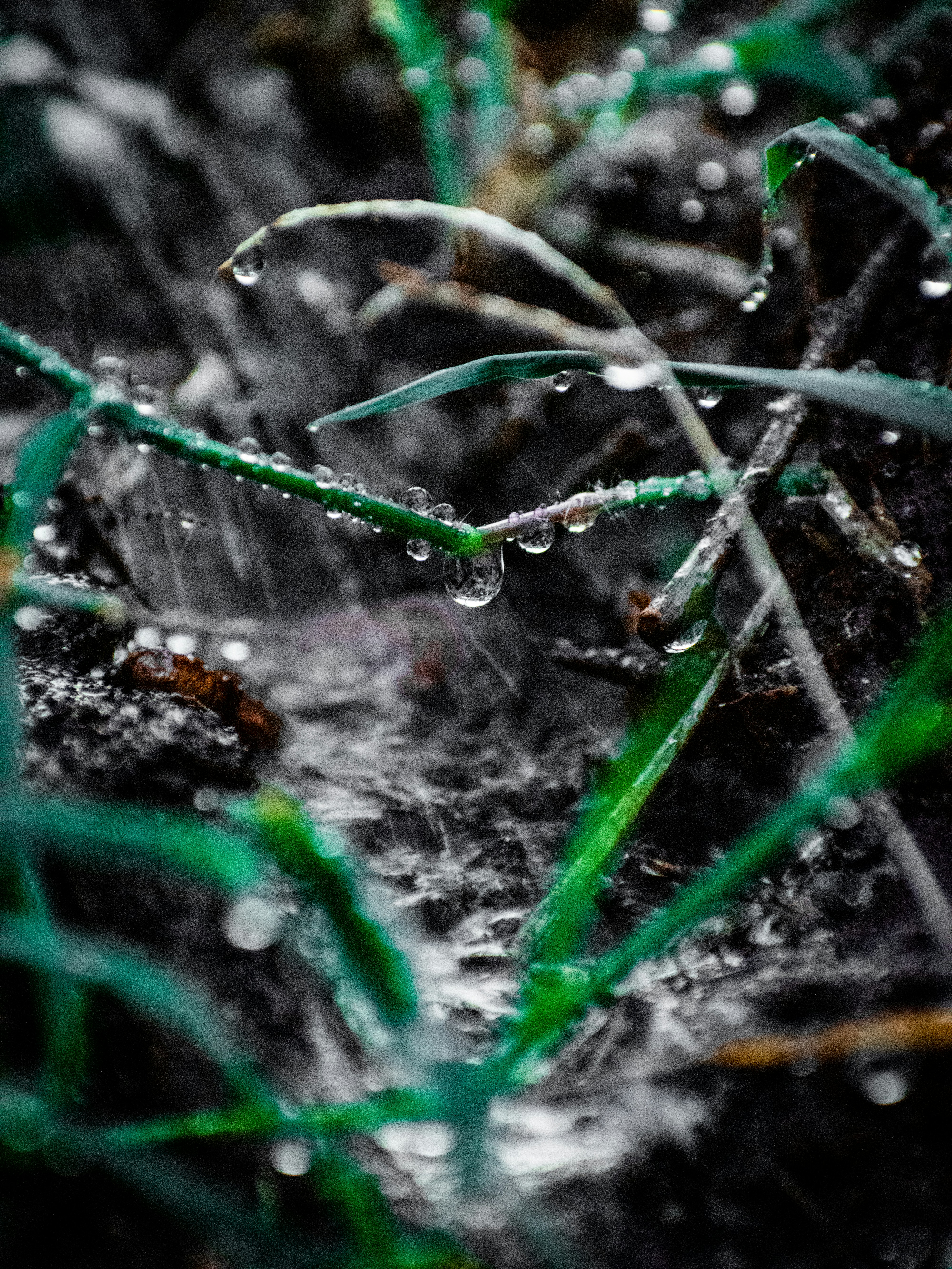 Photo by Antonio Rosati with Nikon D3500