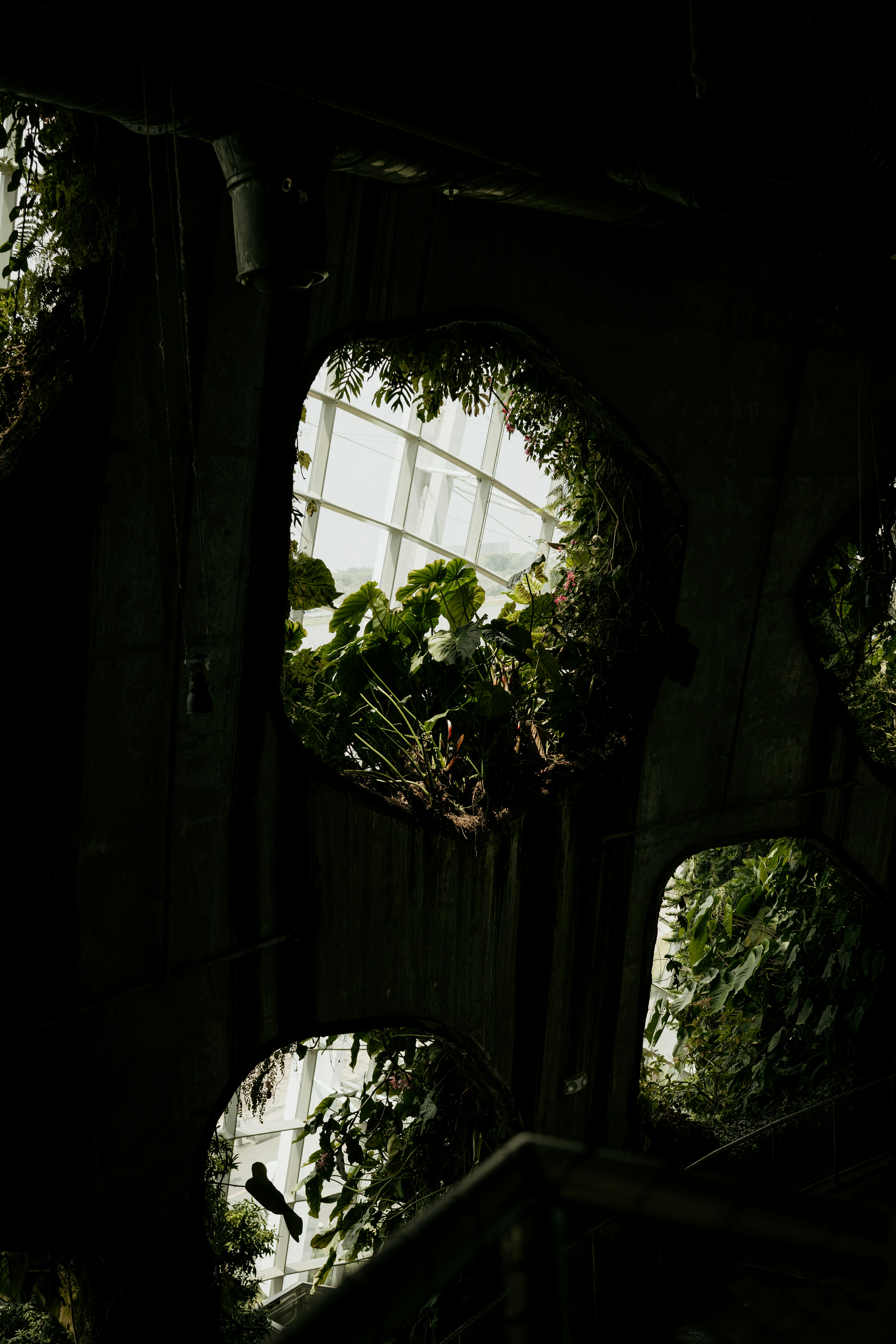 A room with a bunch of mirrors on the wall photo – Free Nature Image on ...