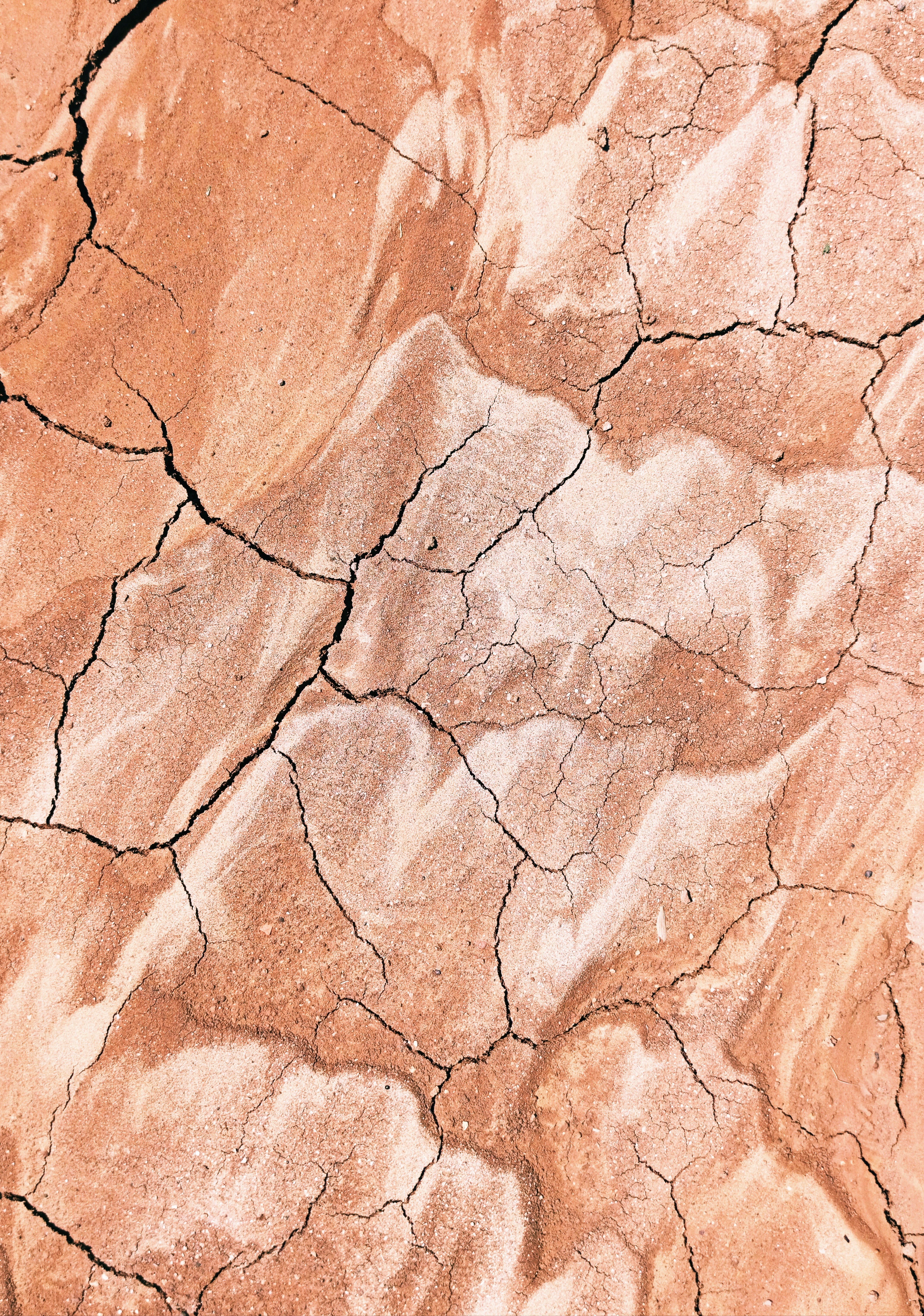 A close up of a rock with cracks in it photo – Free Nature Image on ...