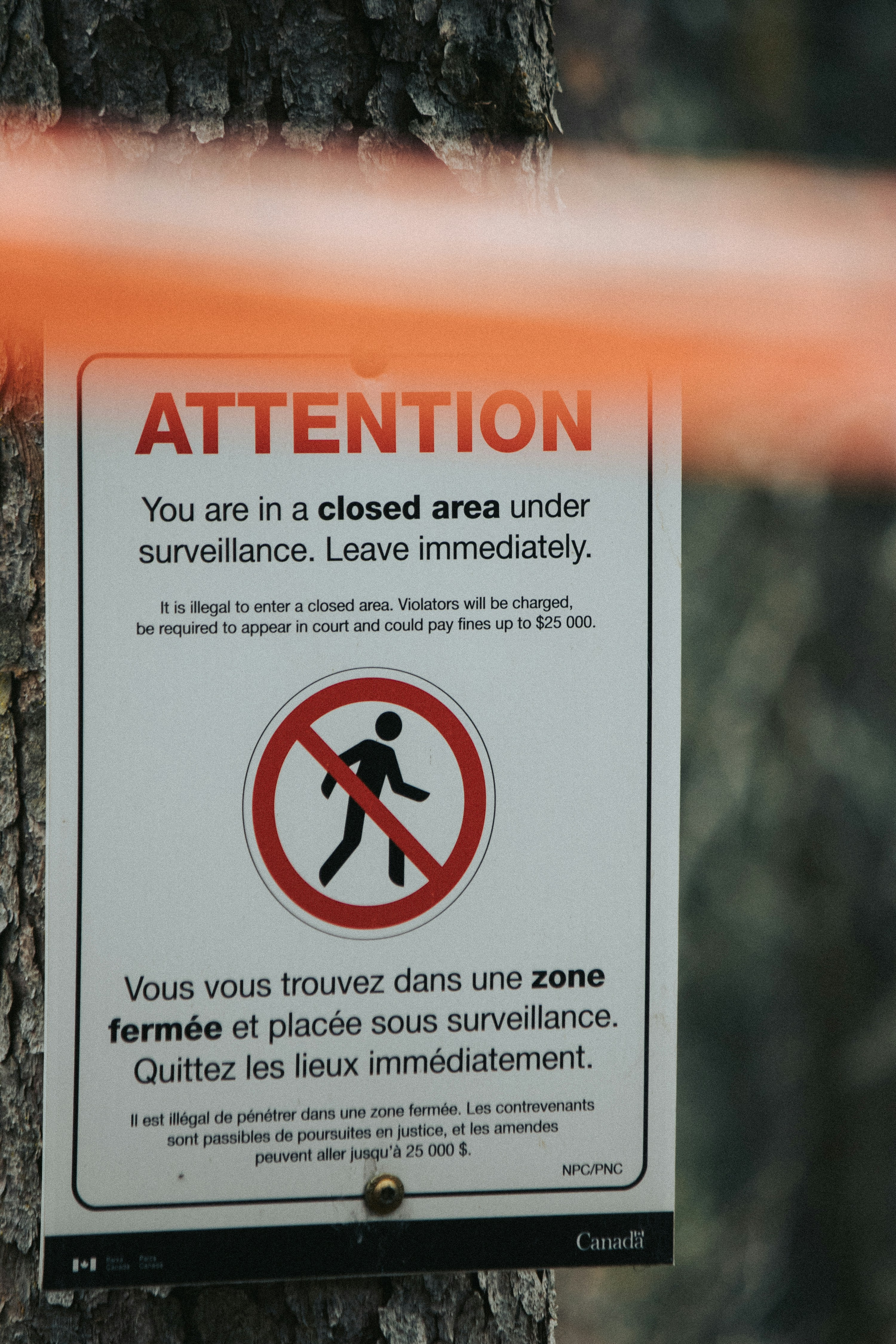 Attention Sign in the Woods: Surveillance Notice Framed by Orange Blur