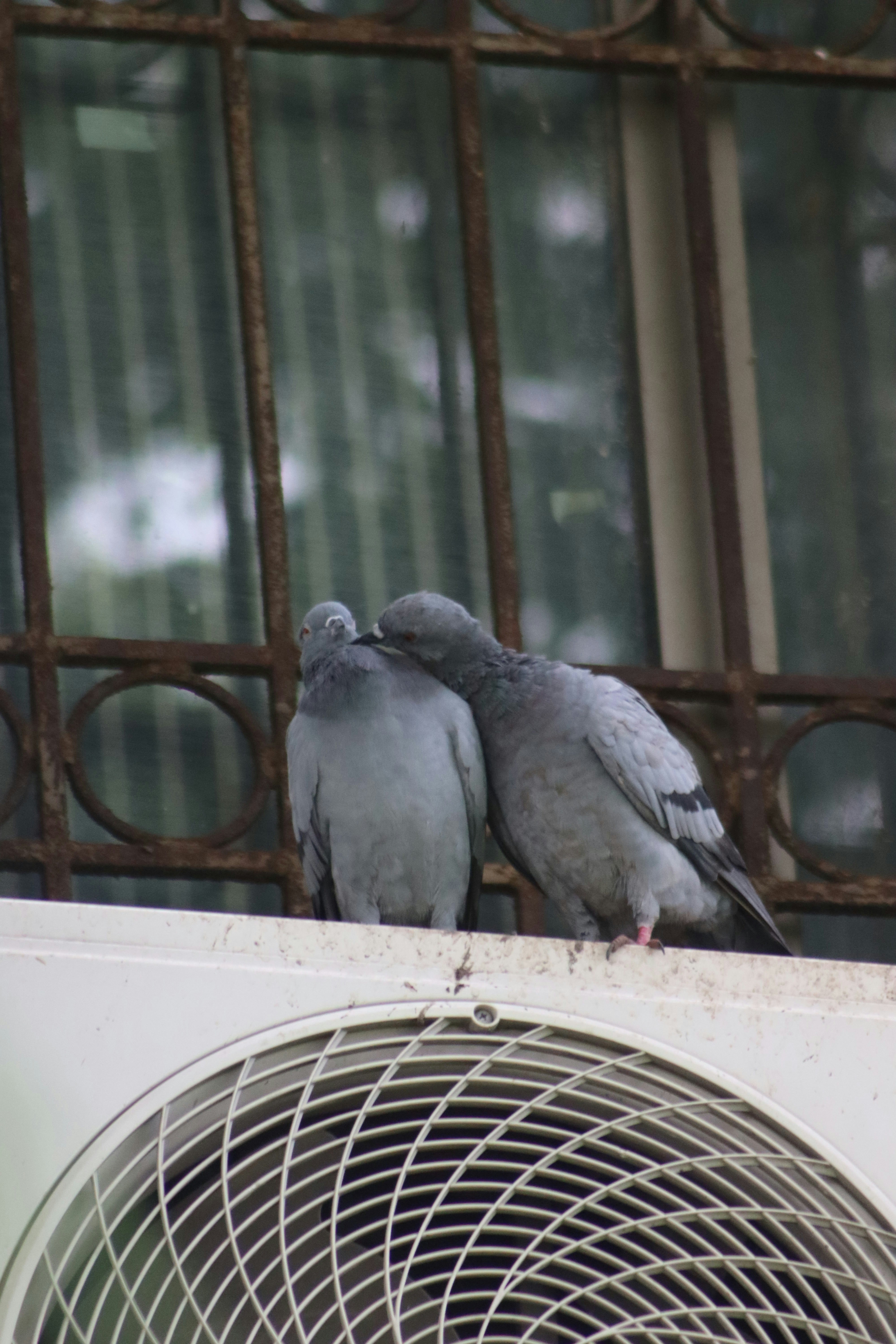 Photo by Anees Ur Rehman with Canon EOS 250D