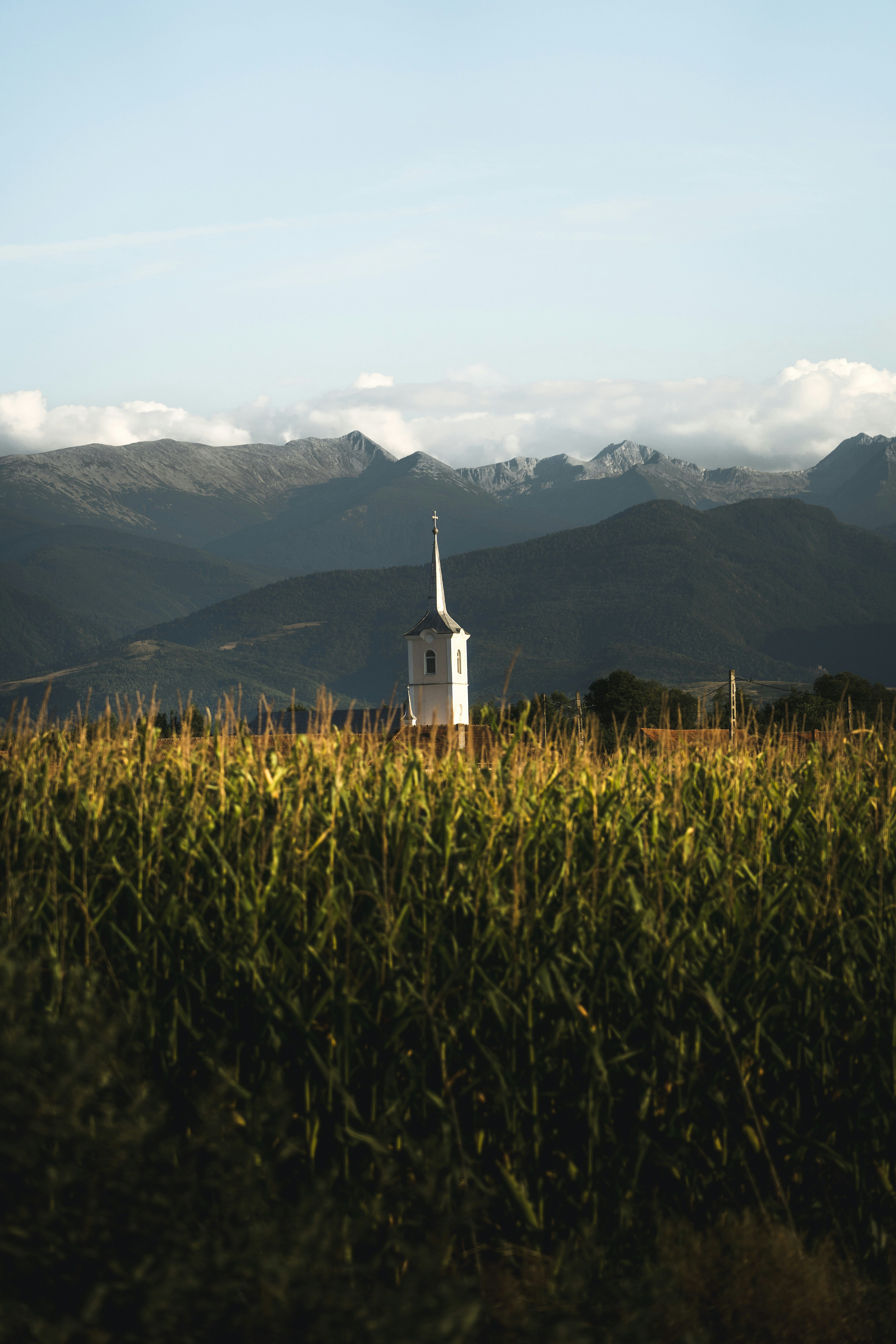 Just cruising in the western side of Romania, when suddenly I spotted my composition. These kinds of sceneries I often find in photos from other countries, yet still I'm amazed I found this in my own country.
