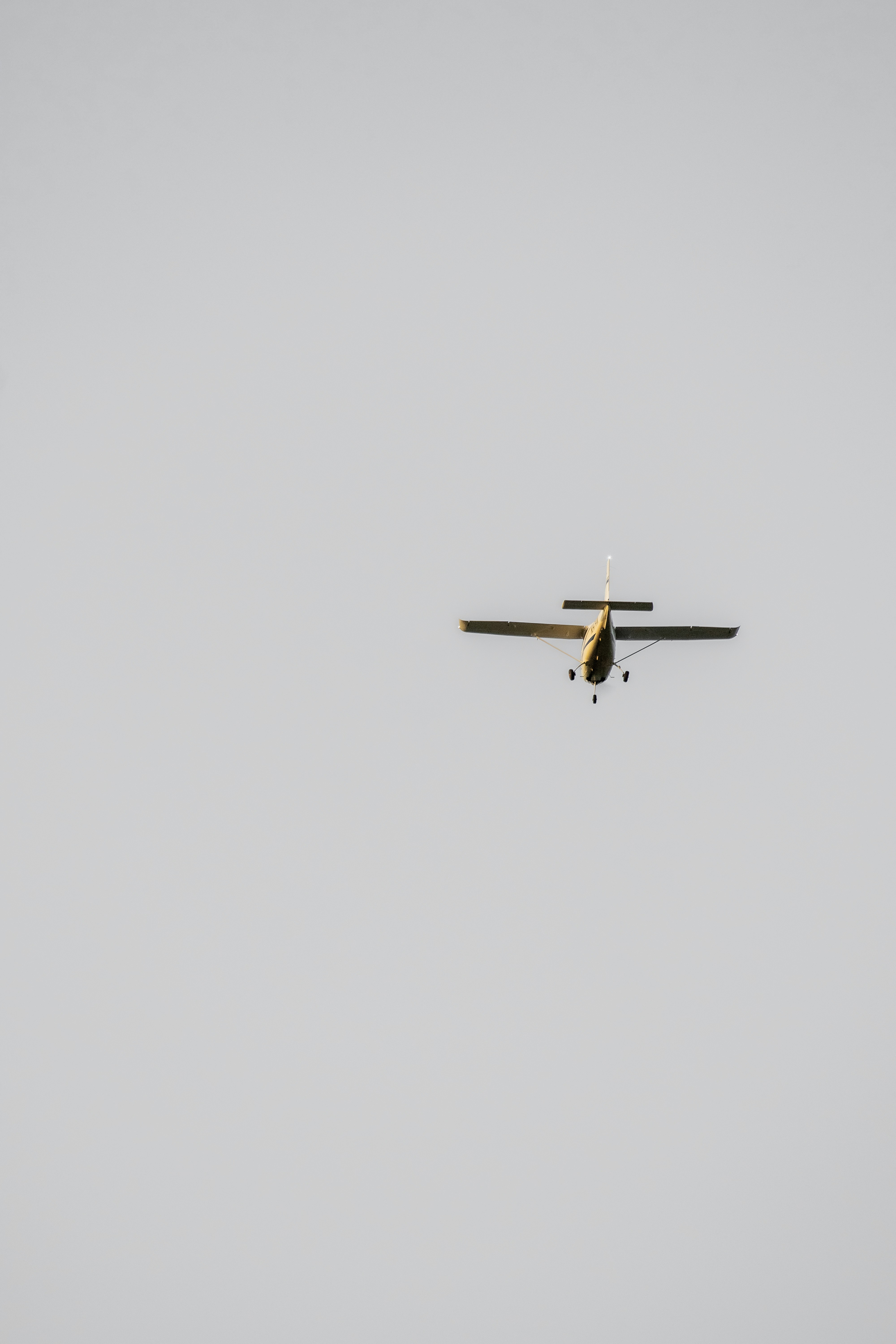 A small airplane flying through a gray sky photo – Free Animal Image on ...