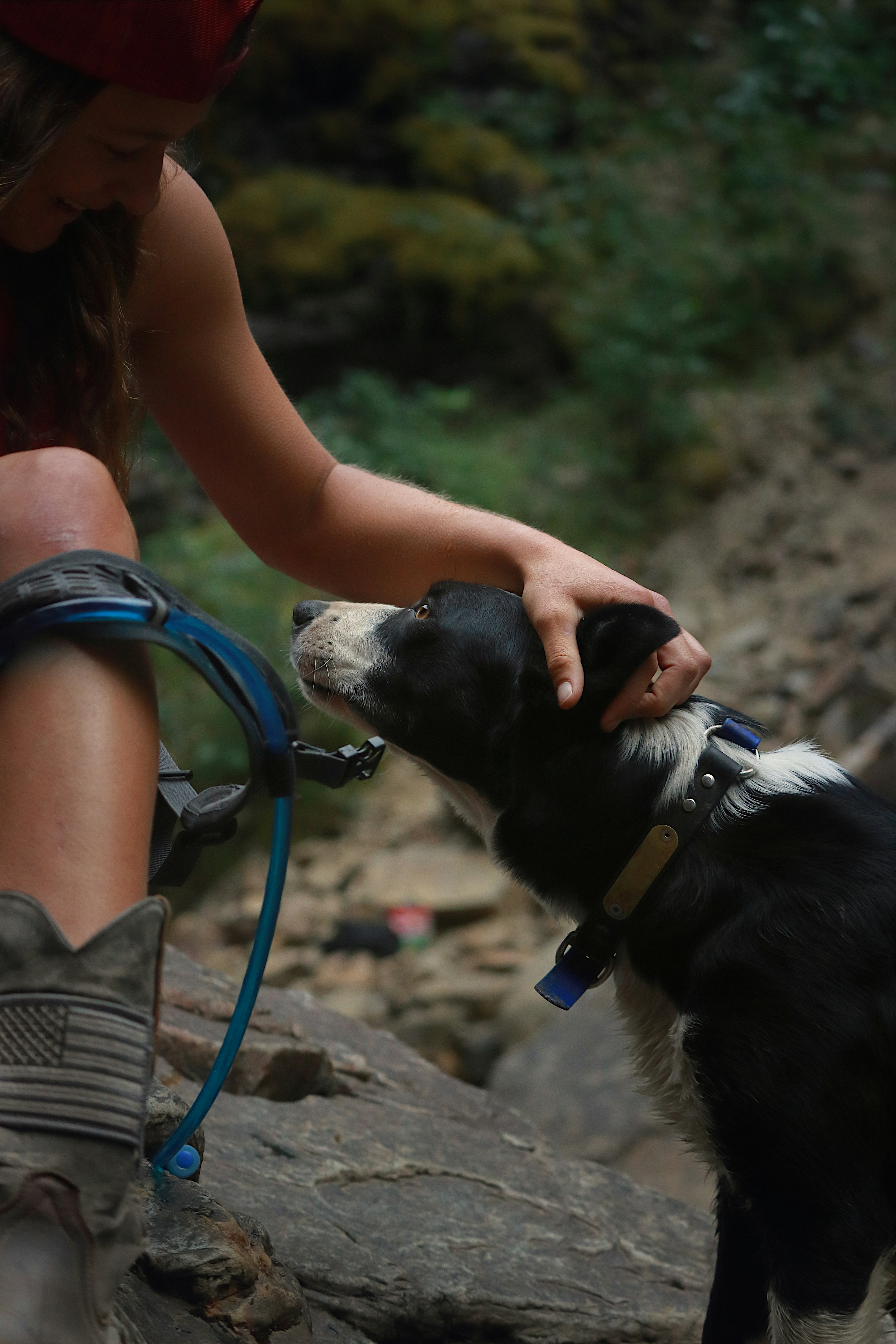 Gentle Hand on a Trusting Snout: A Moment in the Outdoors