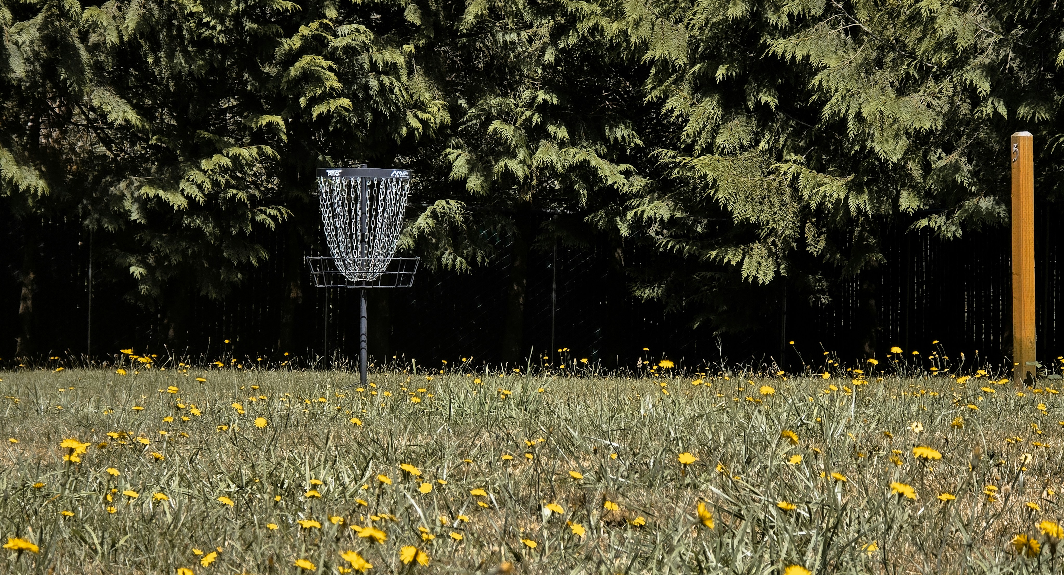 A field with a frisbee and a frisbee golf basket photo – Free Flower ...