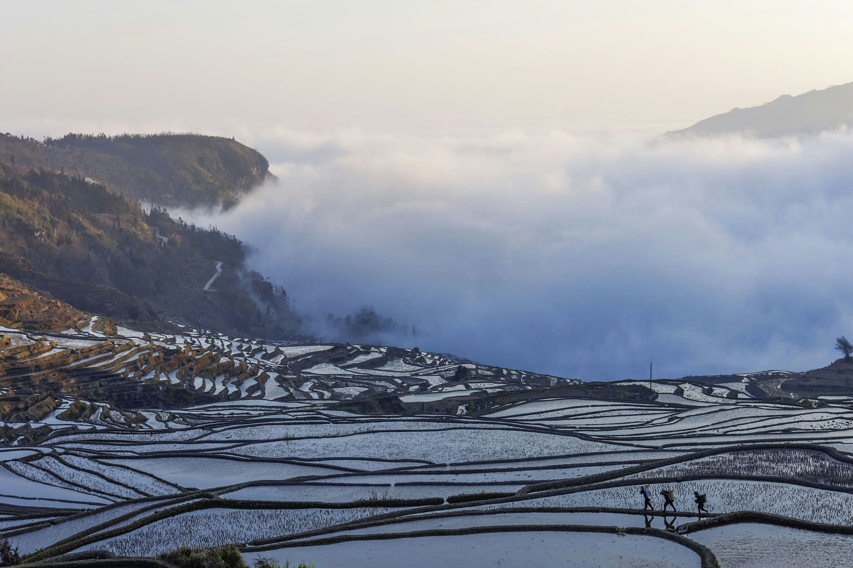 A view of a mountain covered in snow photo – Free Duo yi shu Image on ...