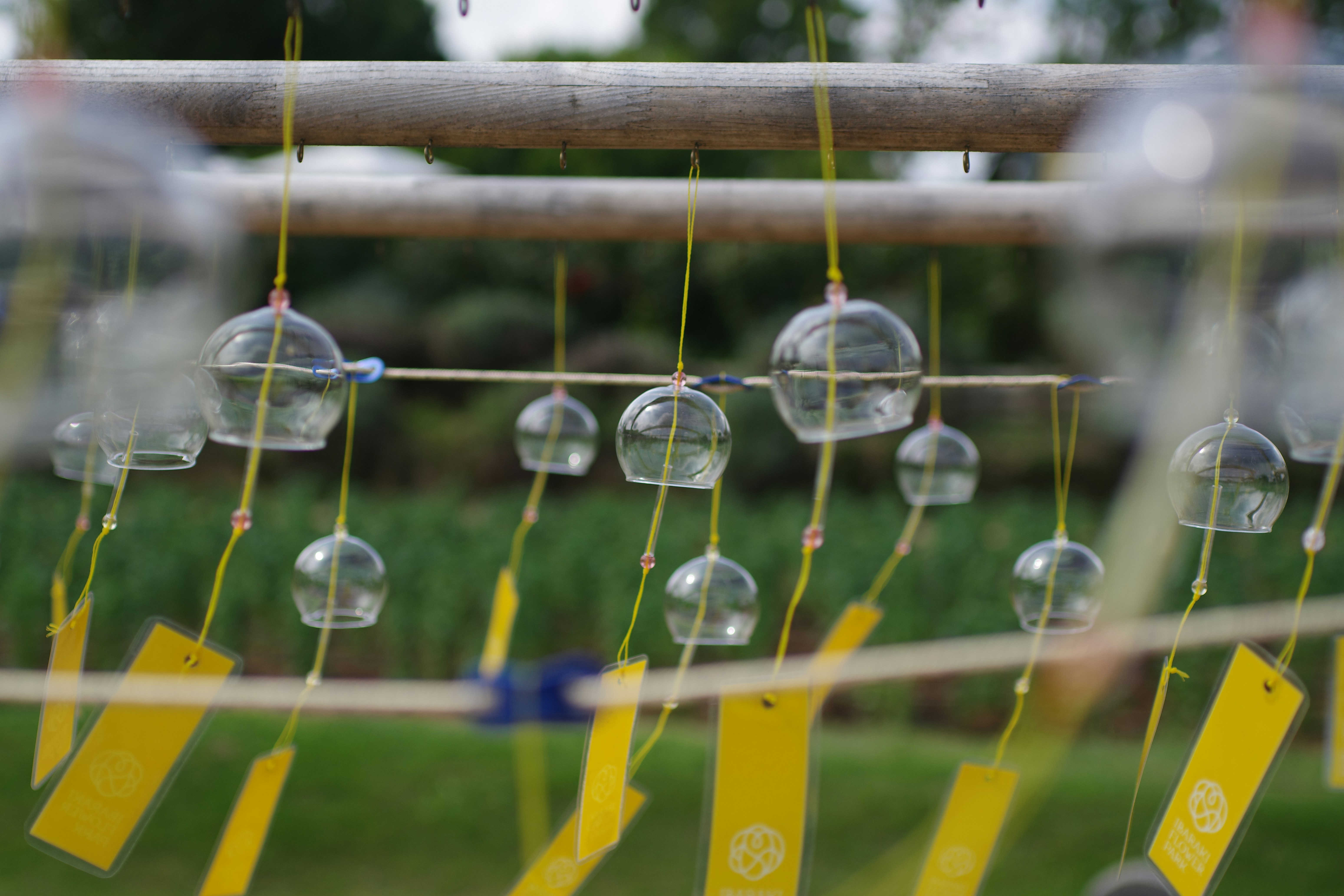 A group of bubbles hanging from a string photo – Free 紫の Image on Unsplash