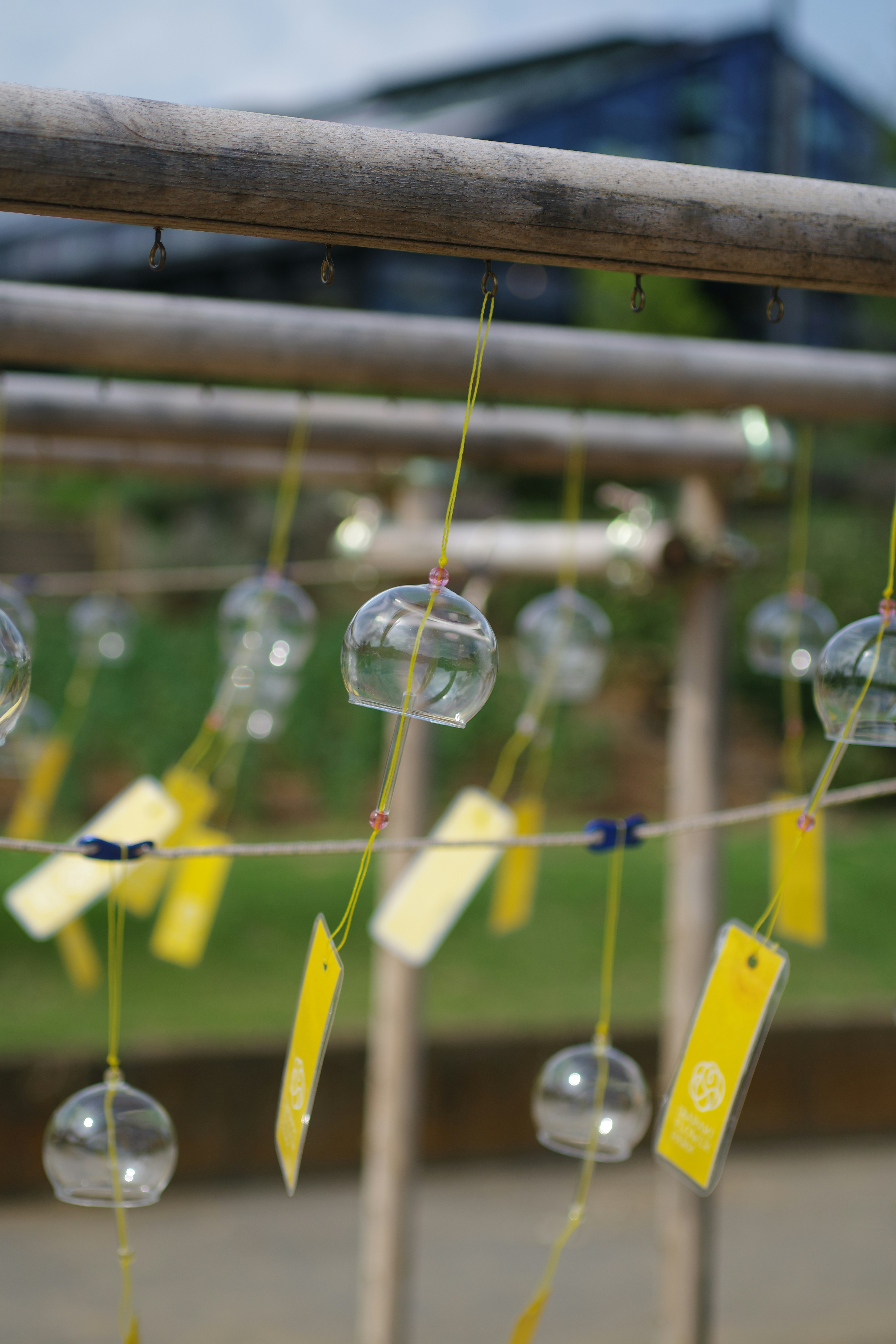 A bunch of bubbles hanging from a line photo – Free シェルター Image on Unsplash