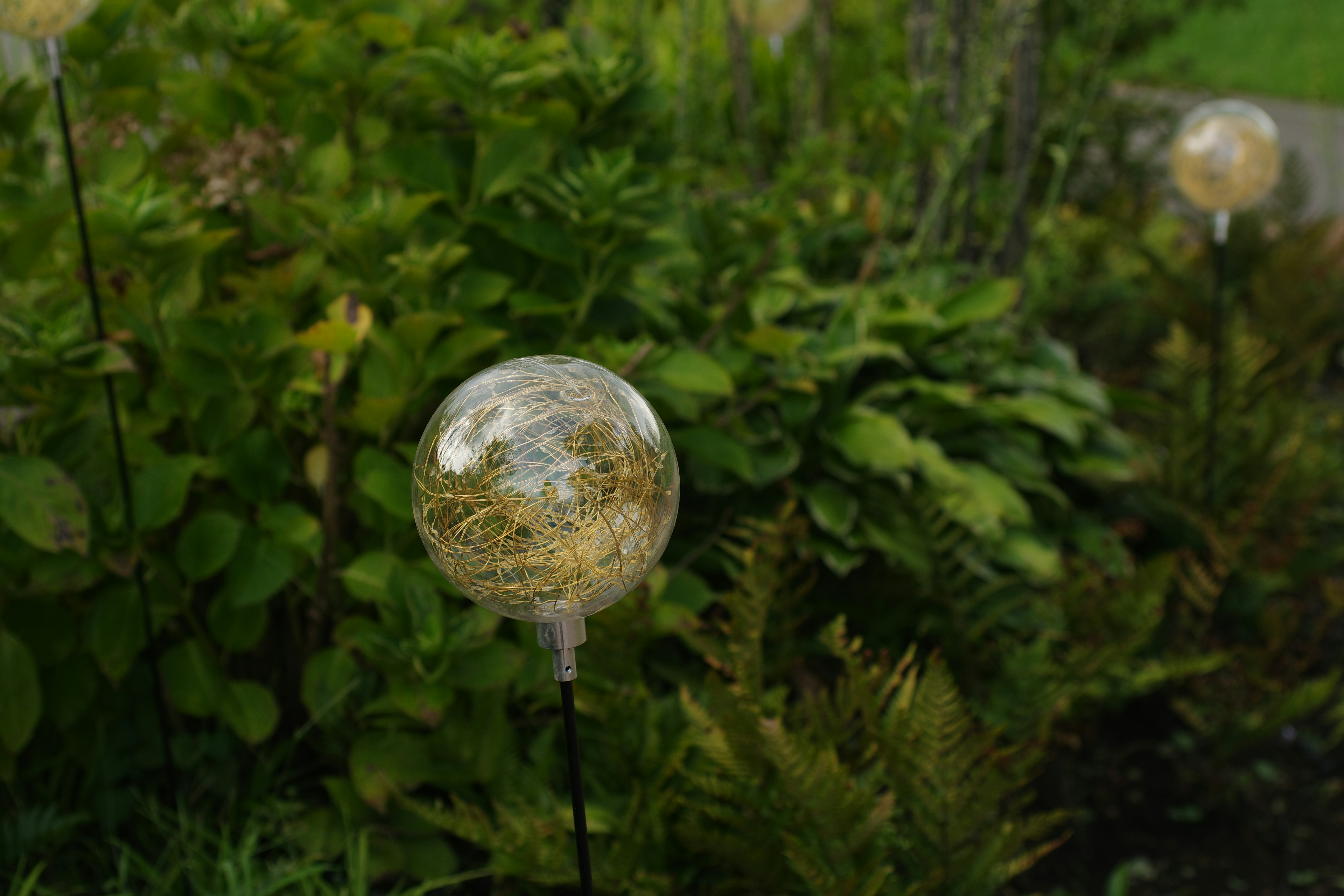 Glass Garden Orb on a Stem Reflects a Verdant Backyard Glow