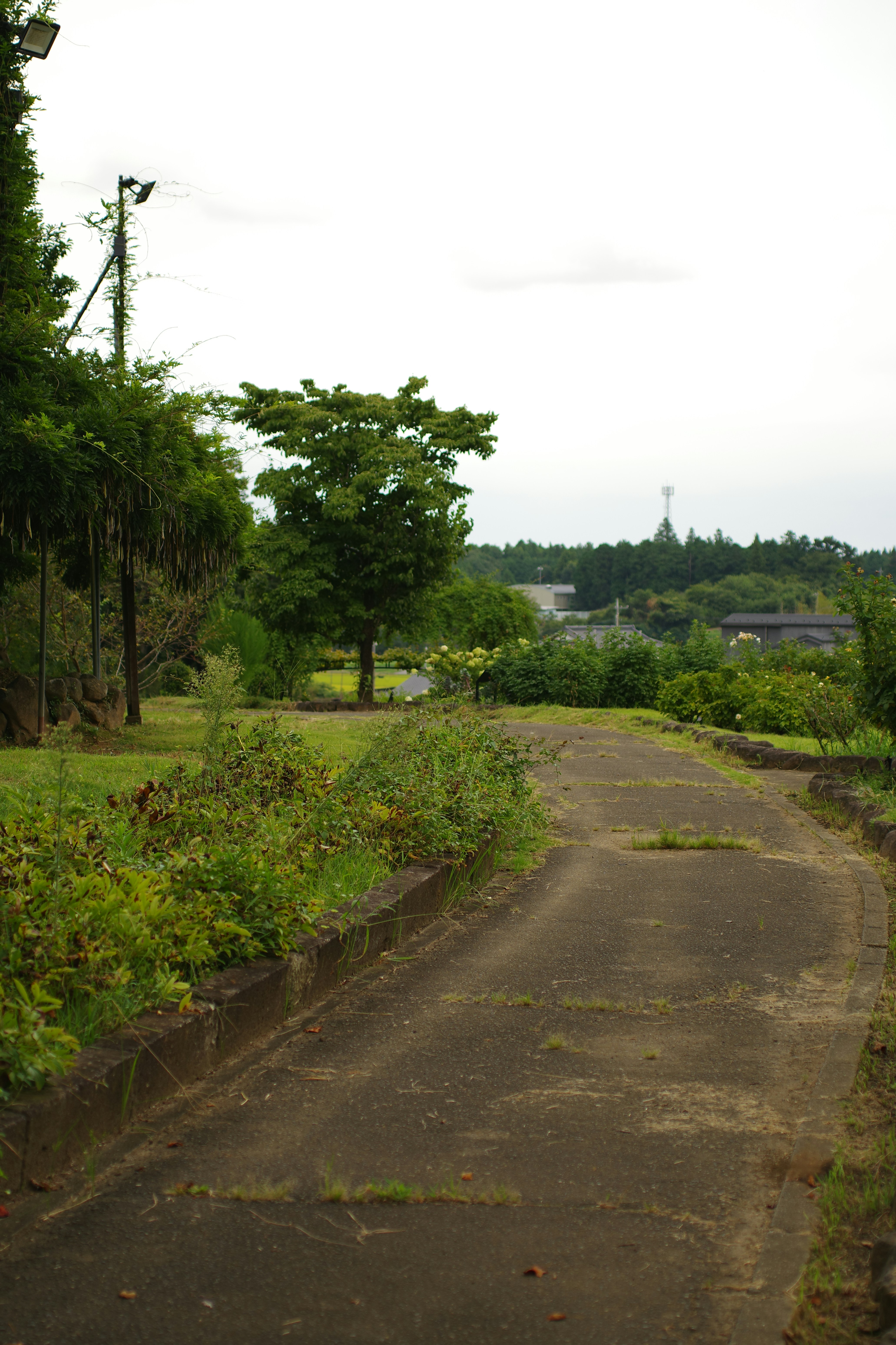 The Green Ribbon: A Curved Path Toward a Quiet Horizon