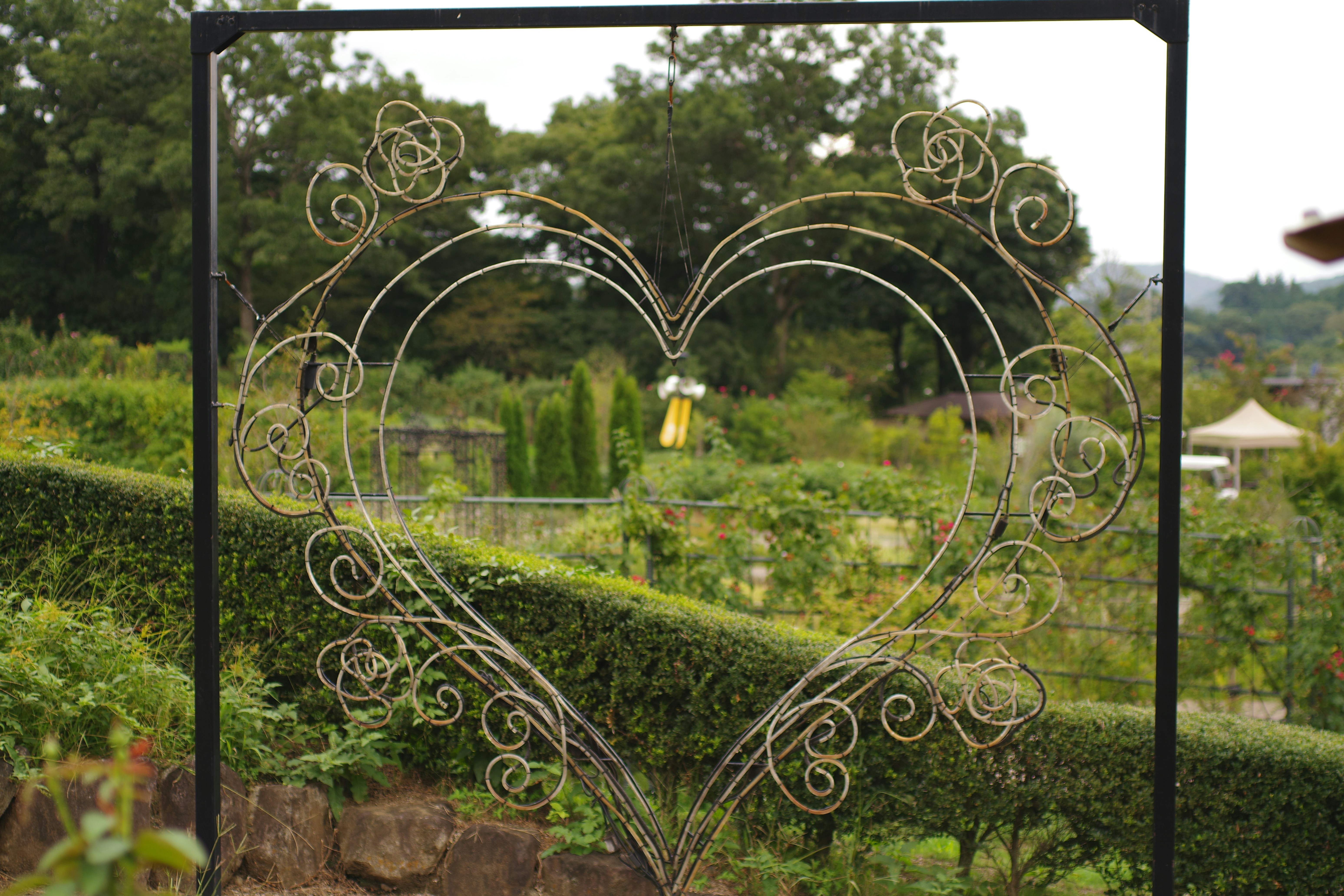 A heart - shaped iron gate in the middle of a garden photo – Free ...