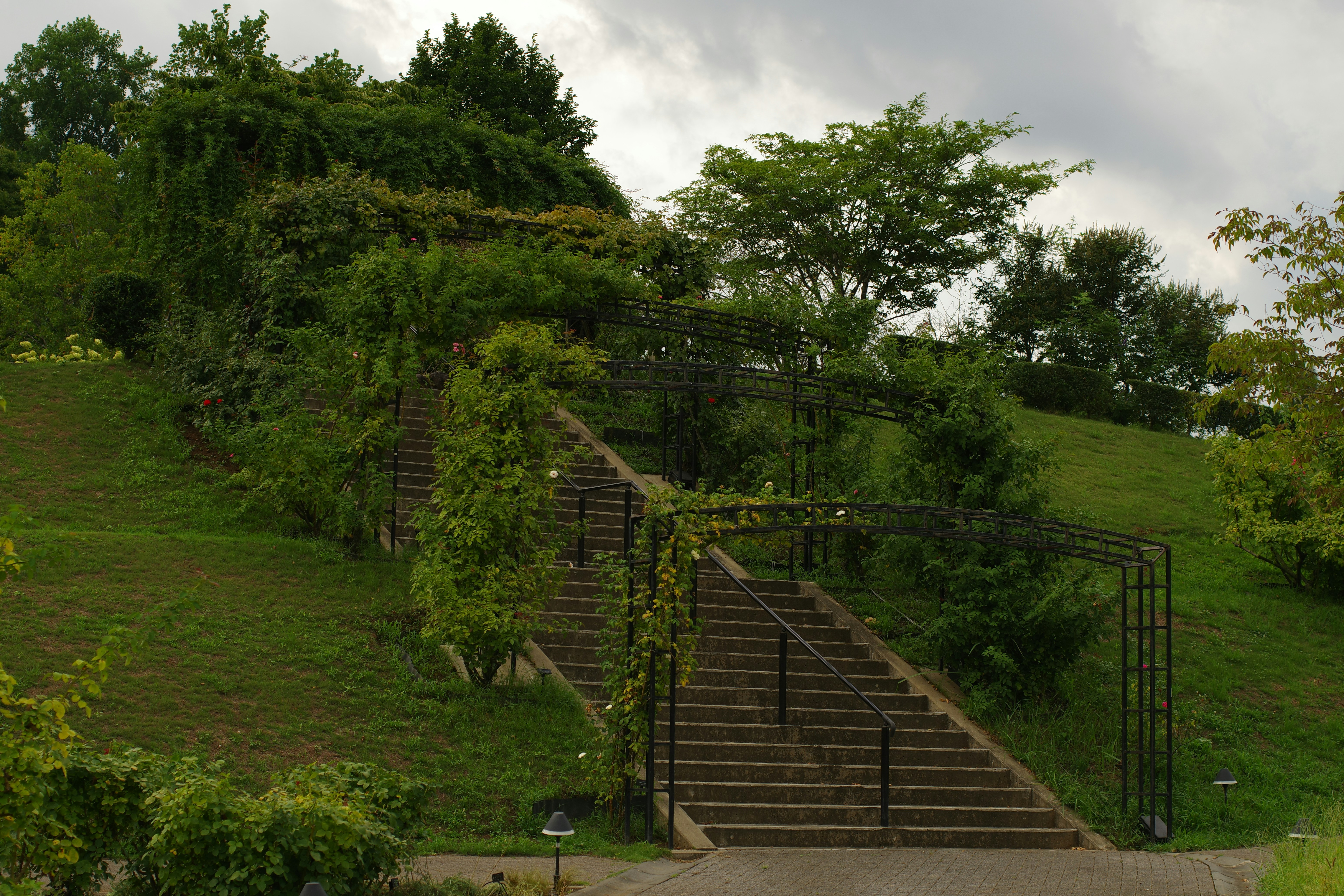 Beautiful green and flower garden、新緑と美しい花が織りなす絶景 A superb view of fresh greenery and beautiful flowers、Give a bouquet of flowers 花束贈るA superb view of Japan's beautiful village and flowers