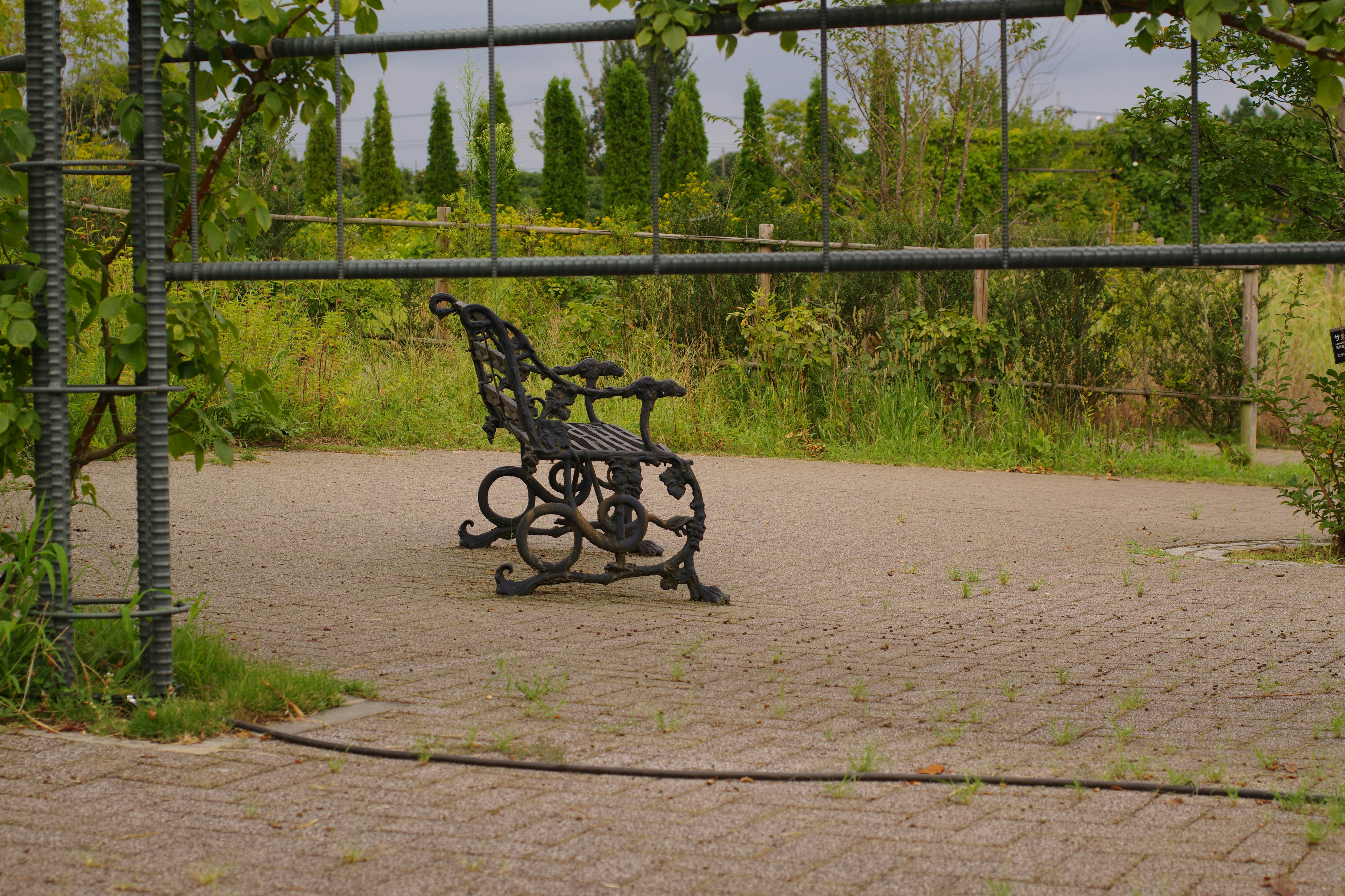 Beautiful green and flower garden、新緑と美しい花が織りなす絶景 A superb view of fresh greenery and beautiful flowers、Give a bouquet of flowers 花束贈るA superb view of Japan's beautiful village and flowersNaoki Suzuki