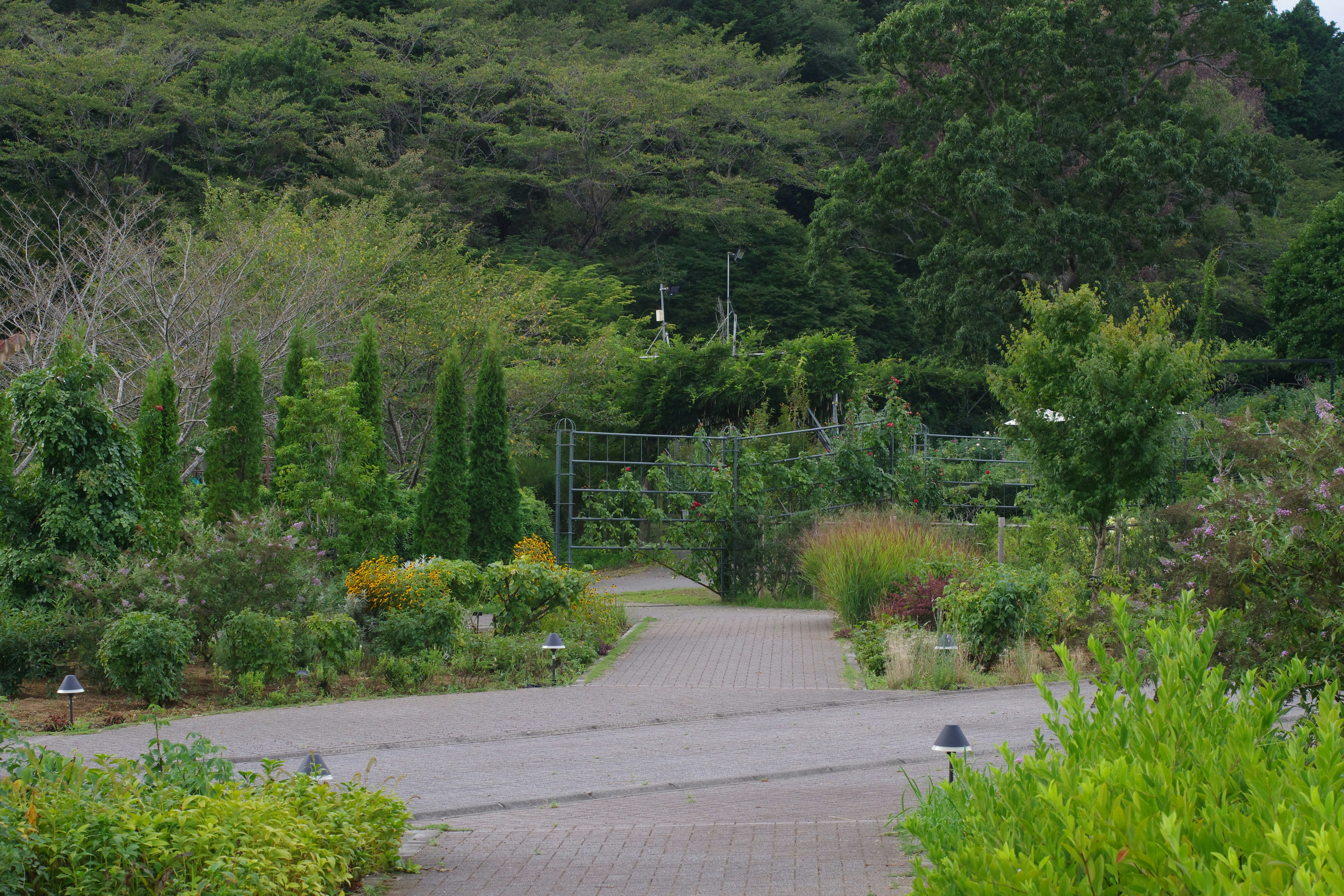 Beautiful green and flower garden、新緑と美しい花が織りなす絶景 A superb view of fresh greenery and beautiful flowers、Give a bouquet of flowers 花束贈るA superb view of Japan's beautiful village and flowers