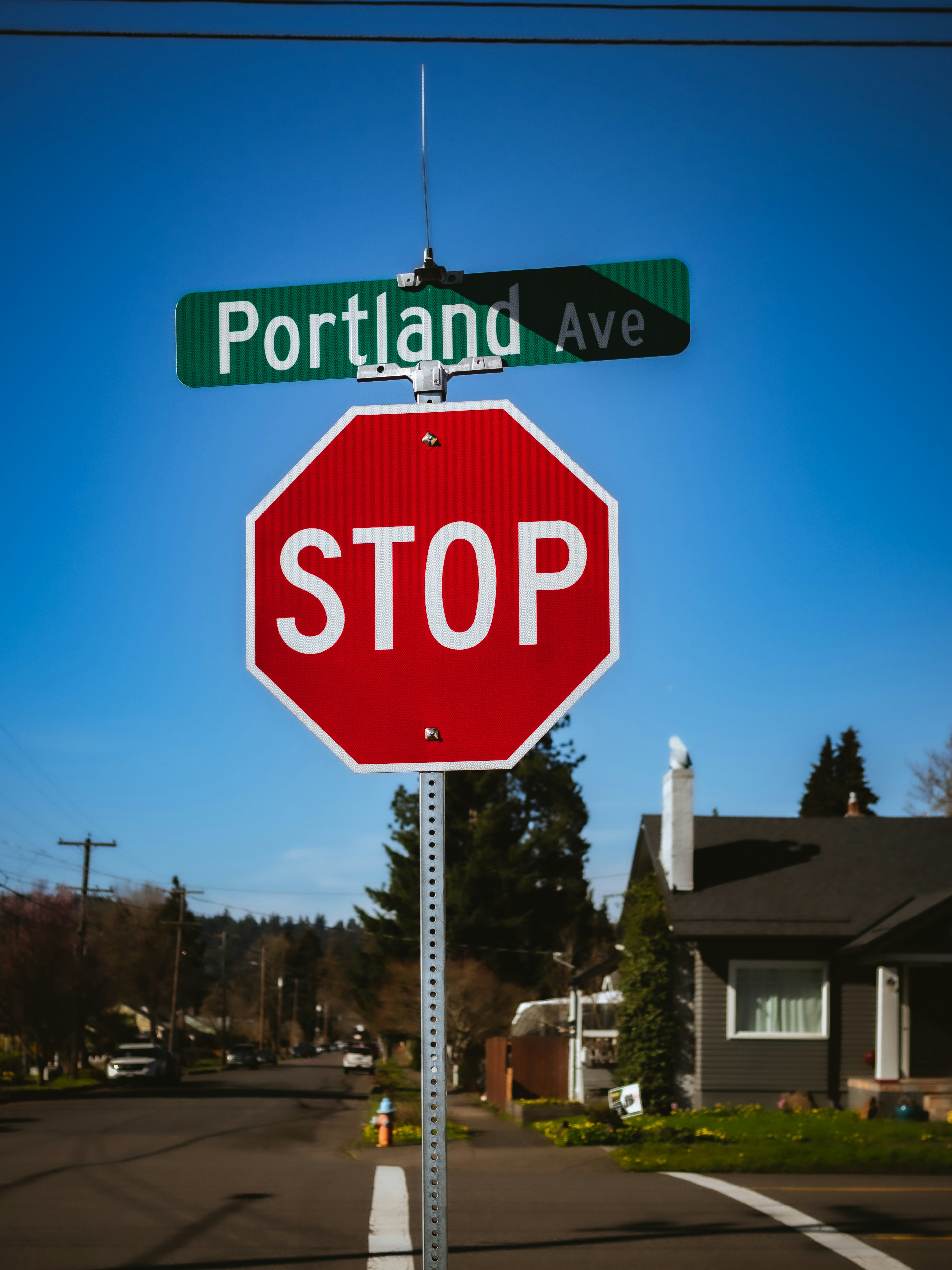 Photo by Jon Lanzieri with Olympus PEN E-P7