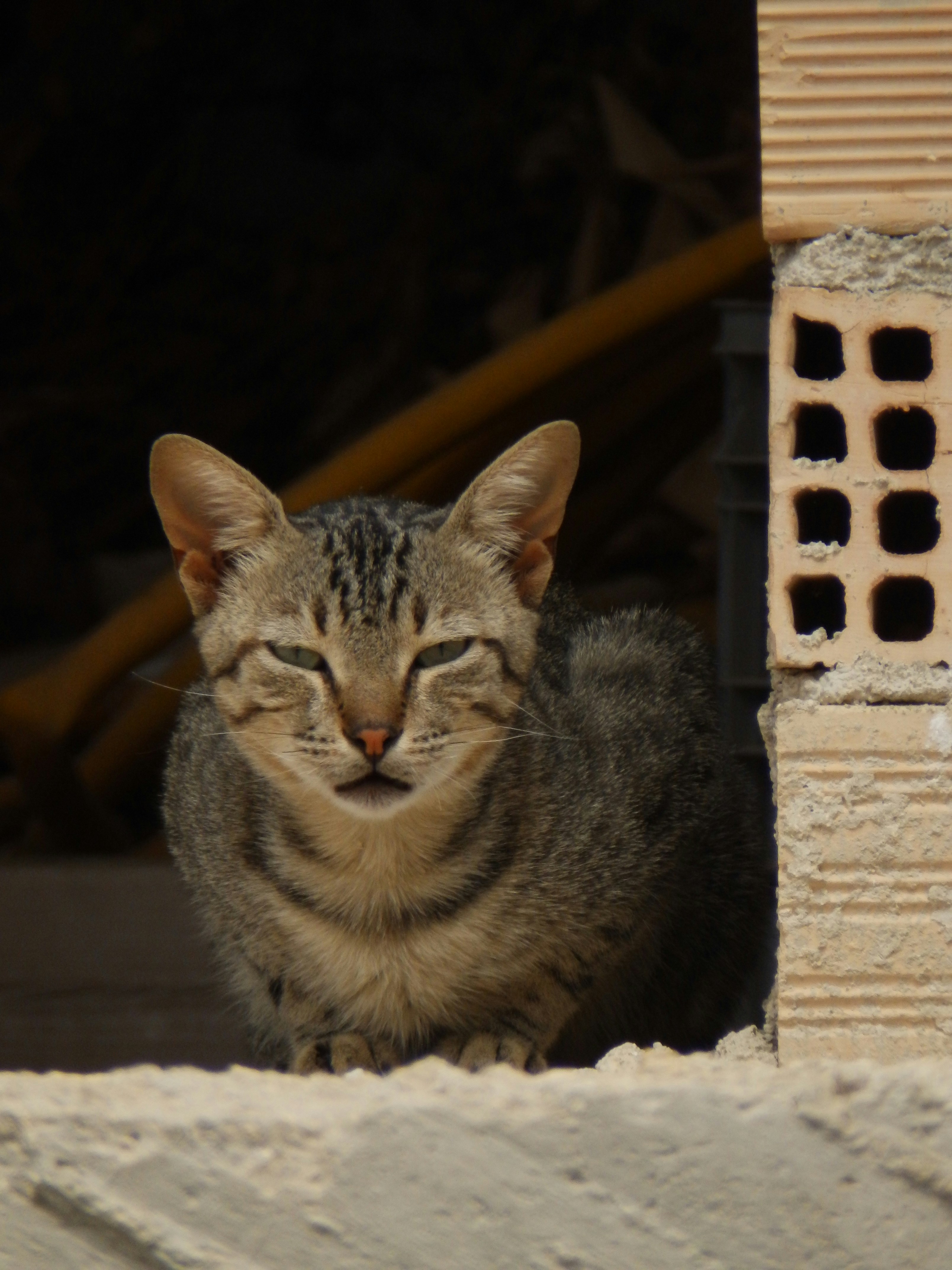 Sample photo from Olympus Stylus SP-820UZ