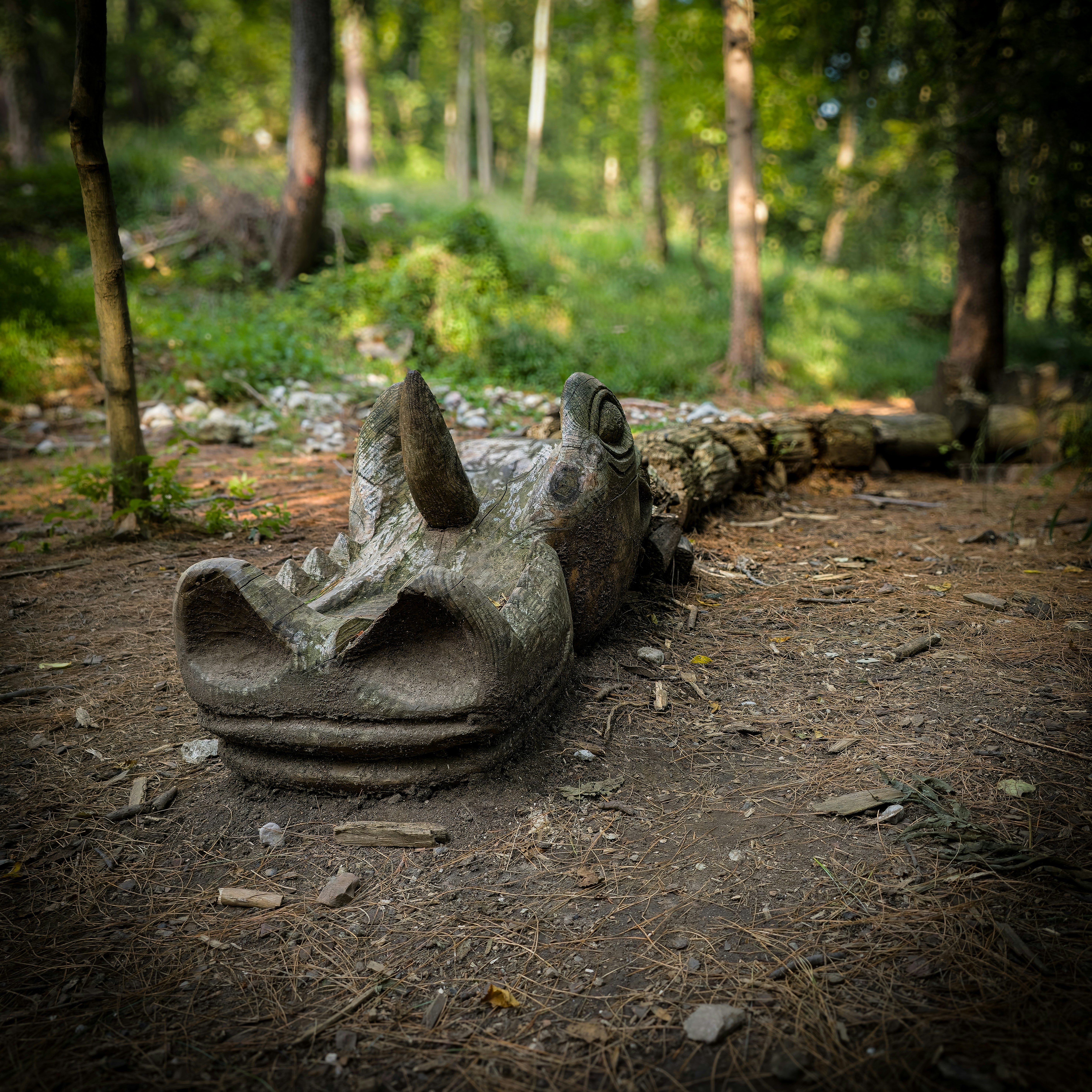 Weathered forest statue: a wolfish wooden sculpture roams the pine litter