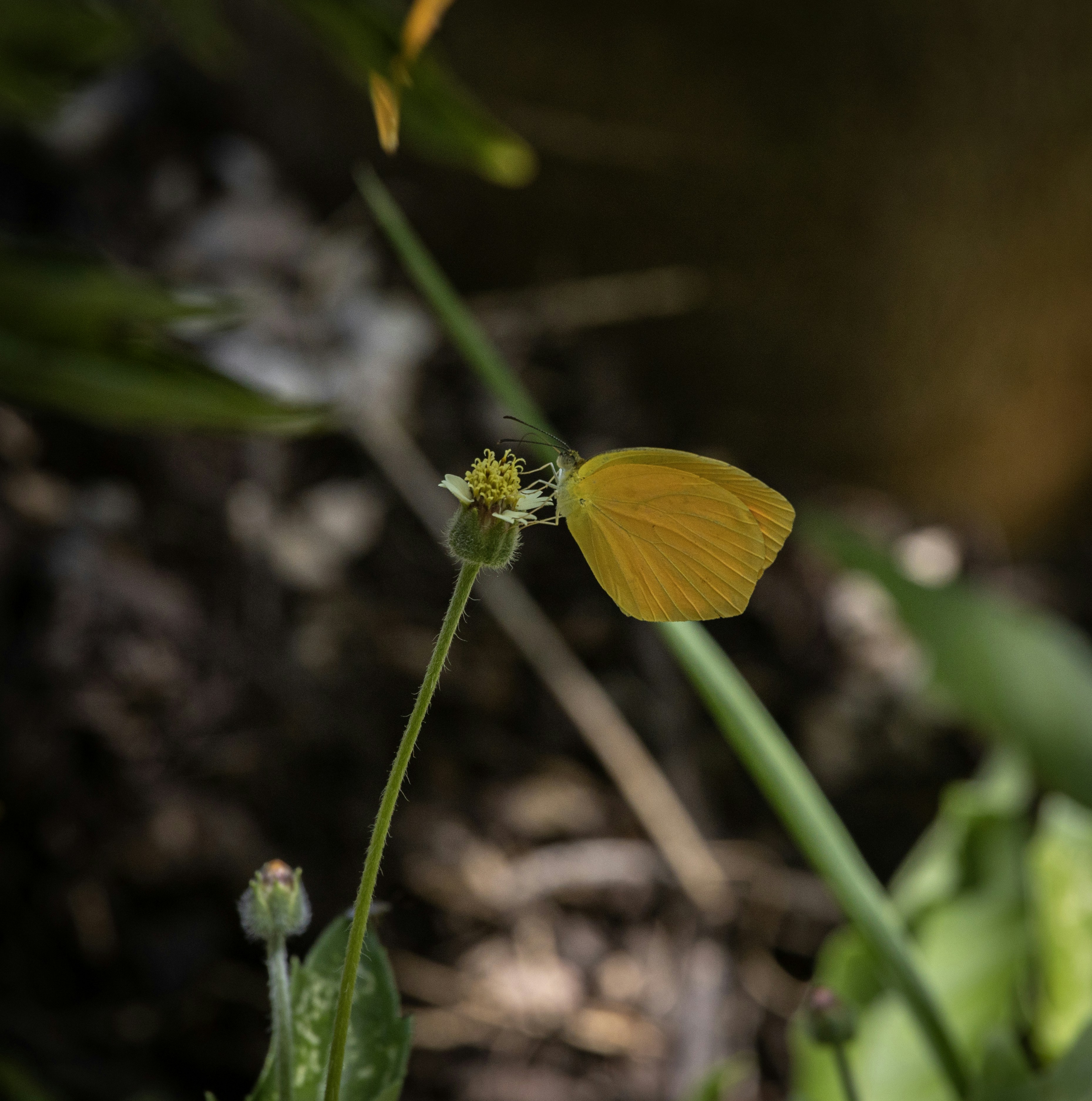 Photo by Alfonso Betancourt with Canon EOS R