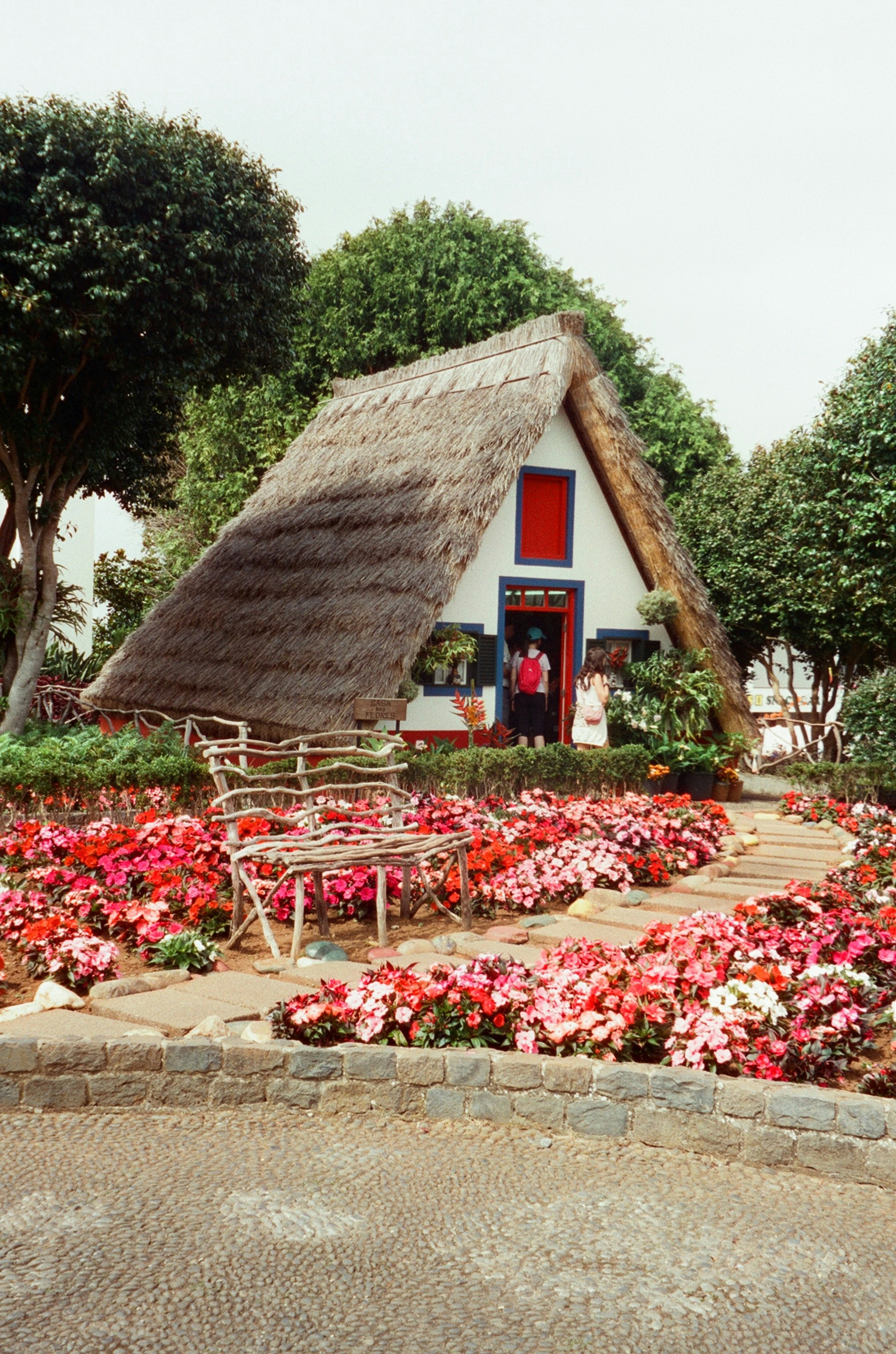 A house with a thatched roof surrounded by flowers photo – Free Old ...