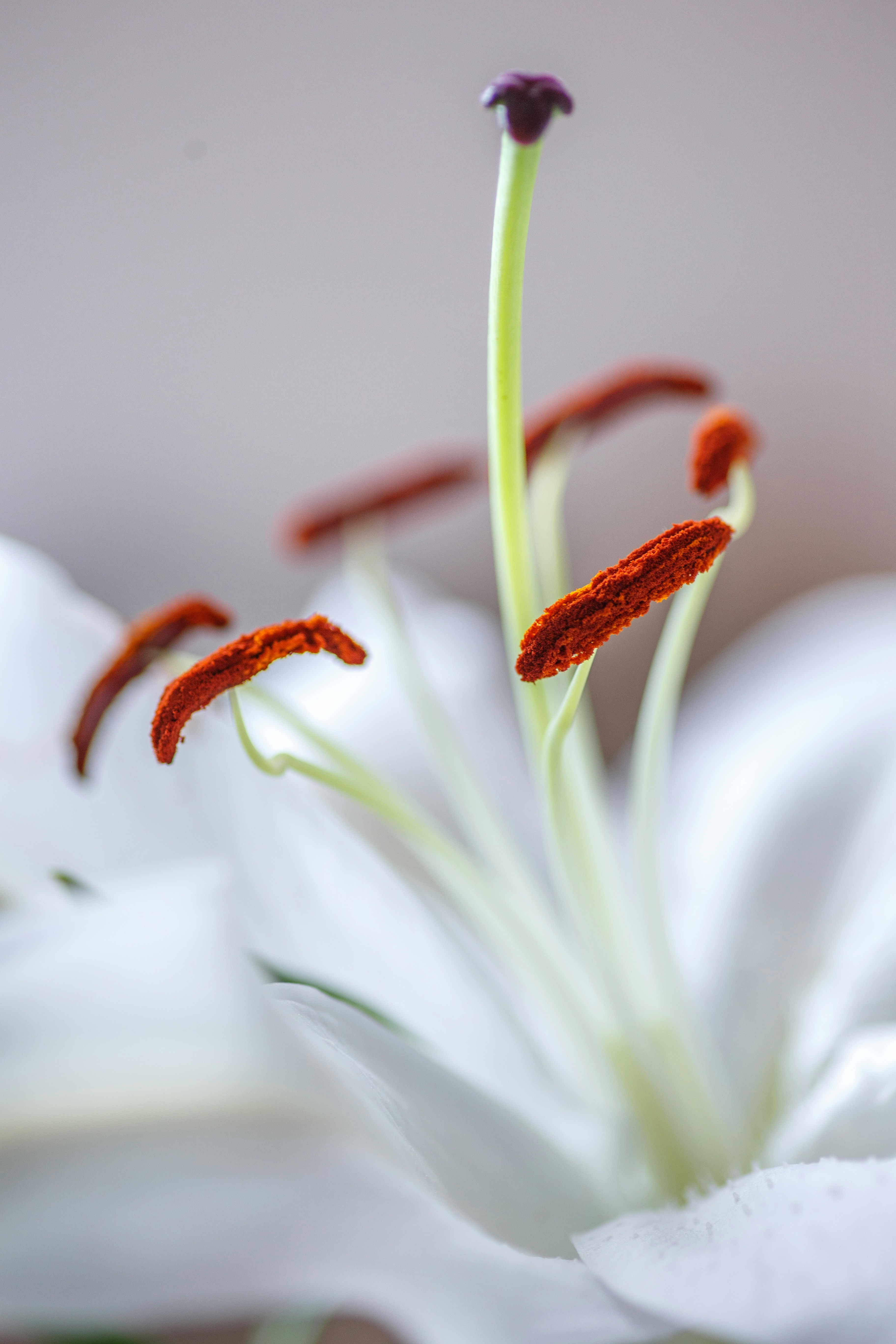 Photo by Hector Falcon with Canon EOS 6D