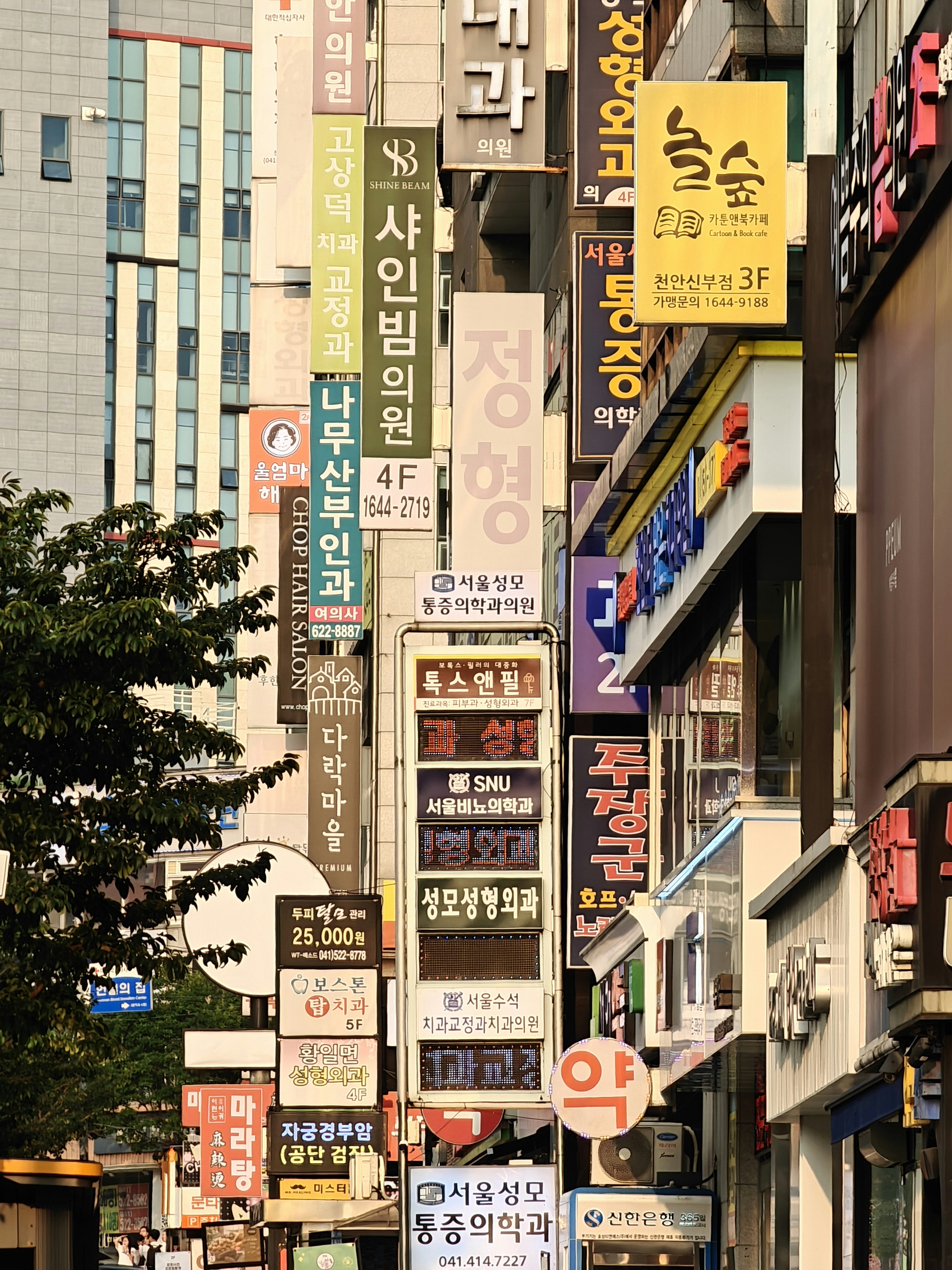 Photo by F aint with Oppo Find X7 Ultra