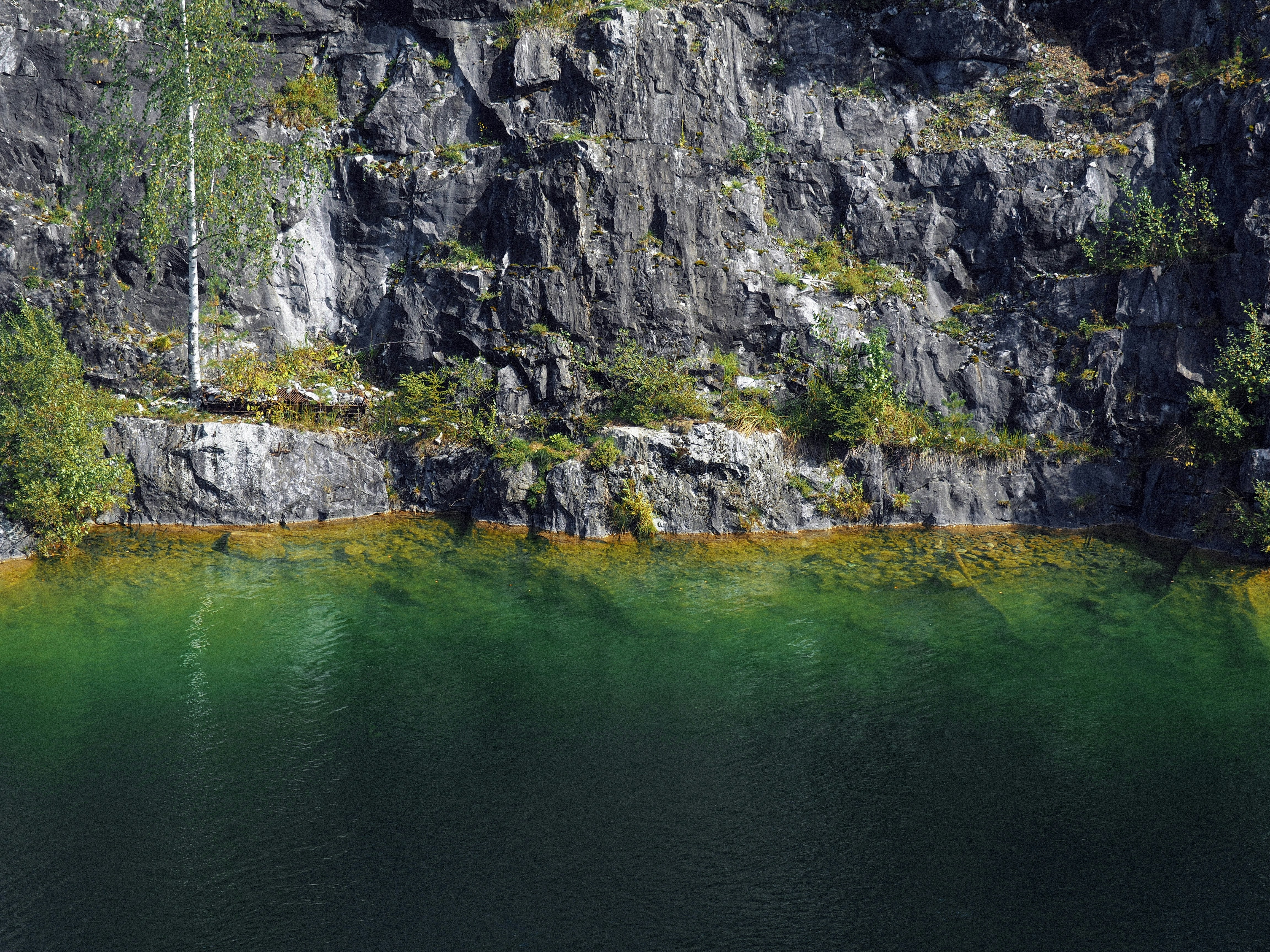 Polina Ivanova (@_pollyis_) | Unsplashフォトコミュニティ