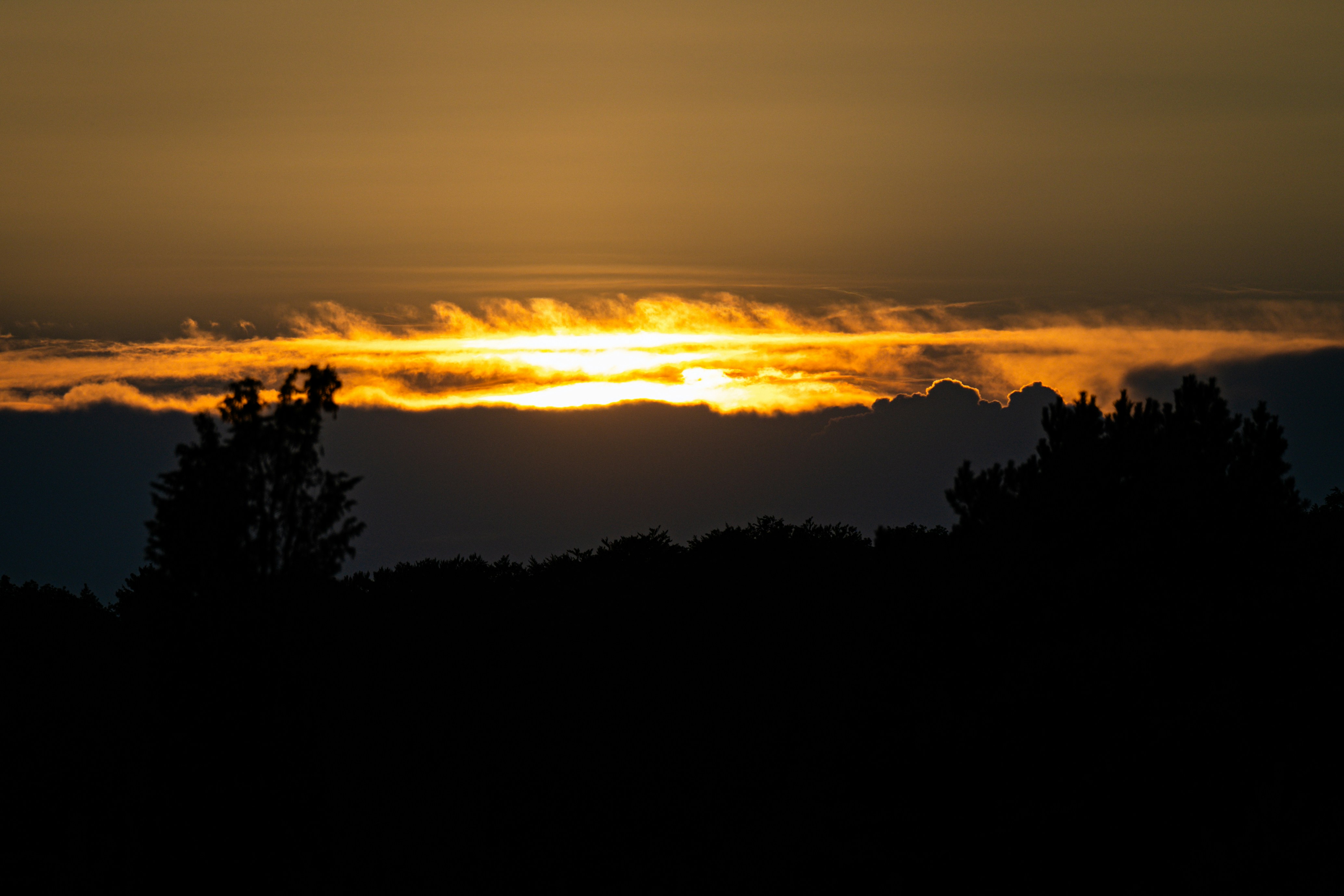 The sun is setting over the trees in the distance photo – Free Nature ...
