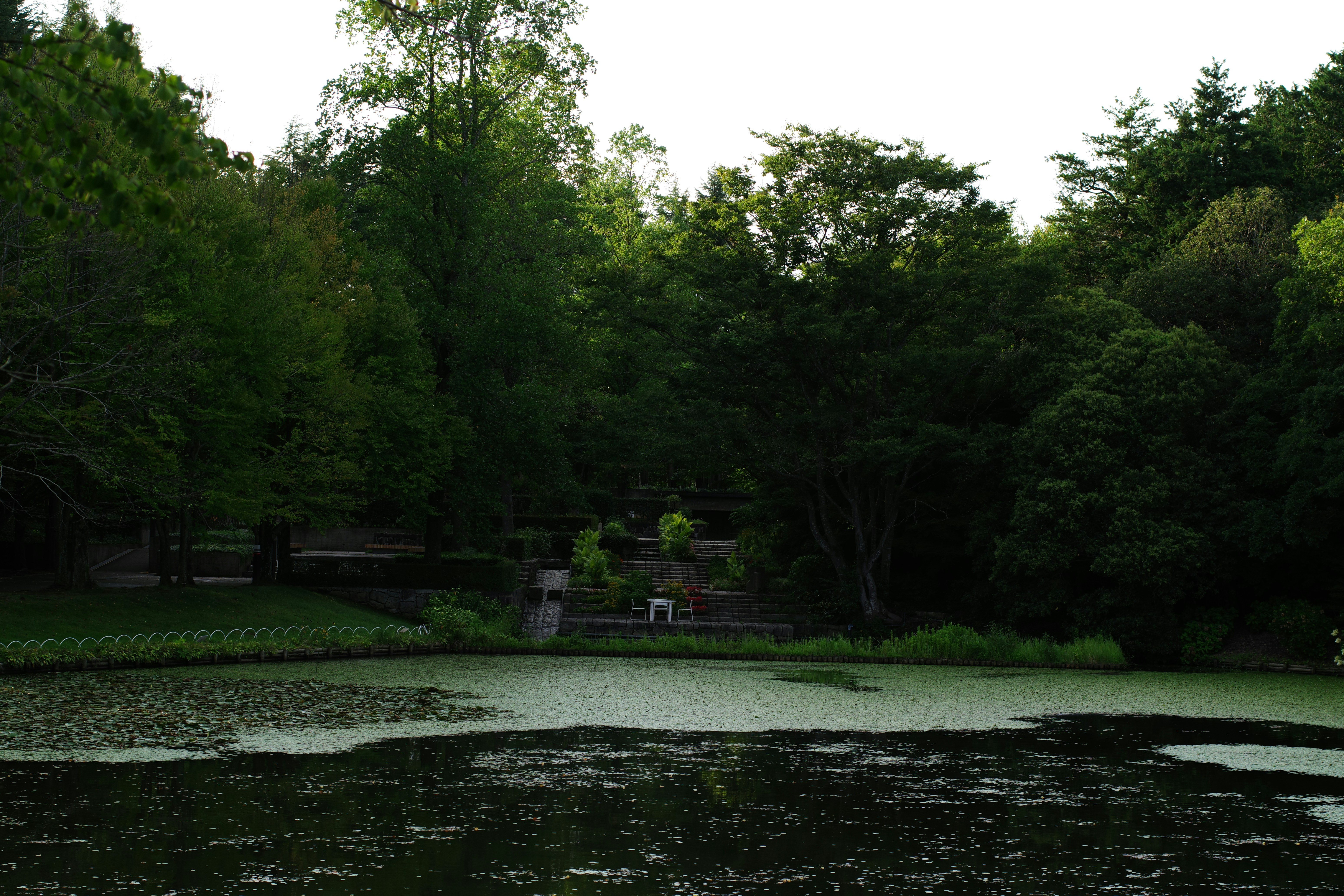 Shaded Pond Pavilion: Quiet Corner Framed by a Bright Green Bridge