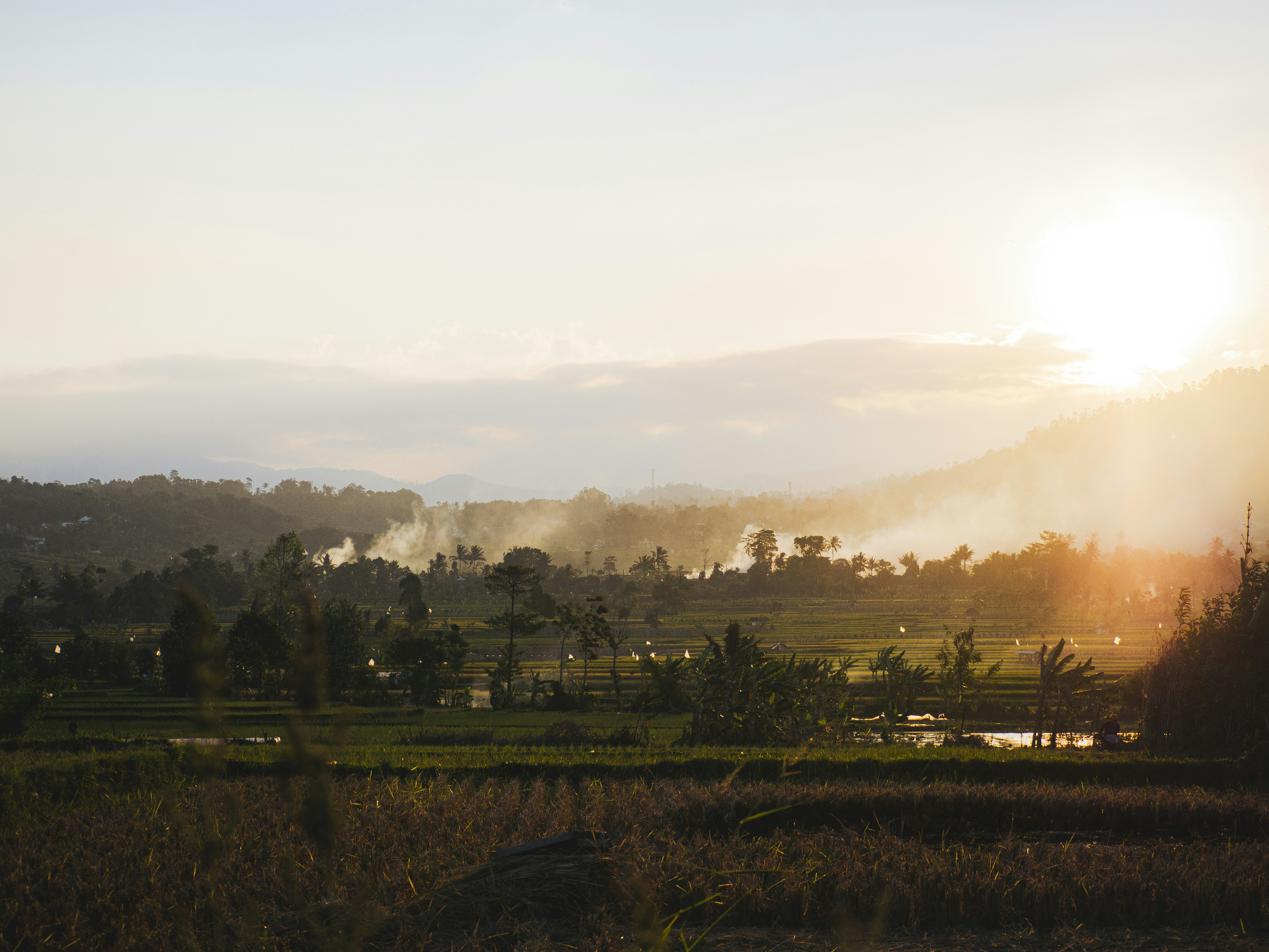 The sun is setting over a field of crops photo – Free Garut Image on ...