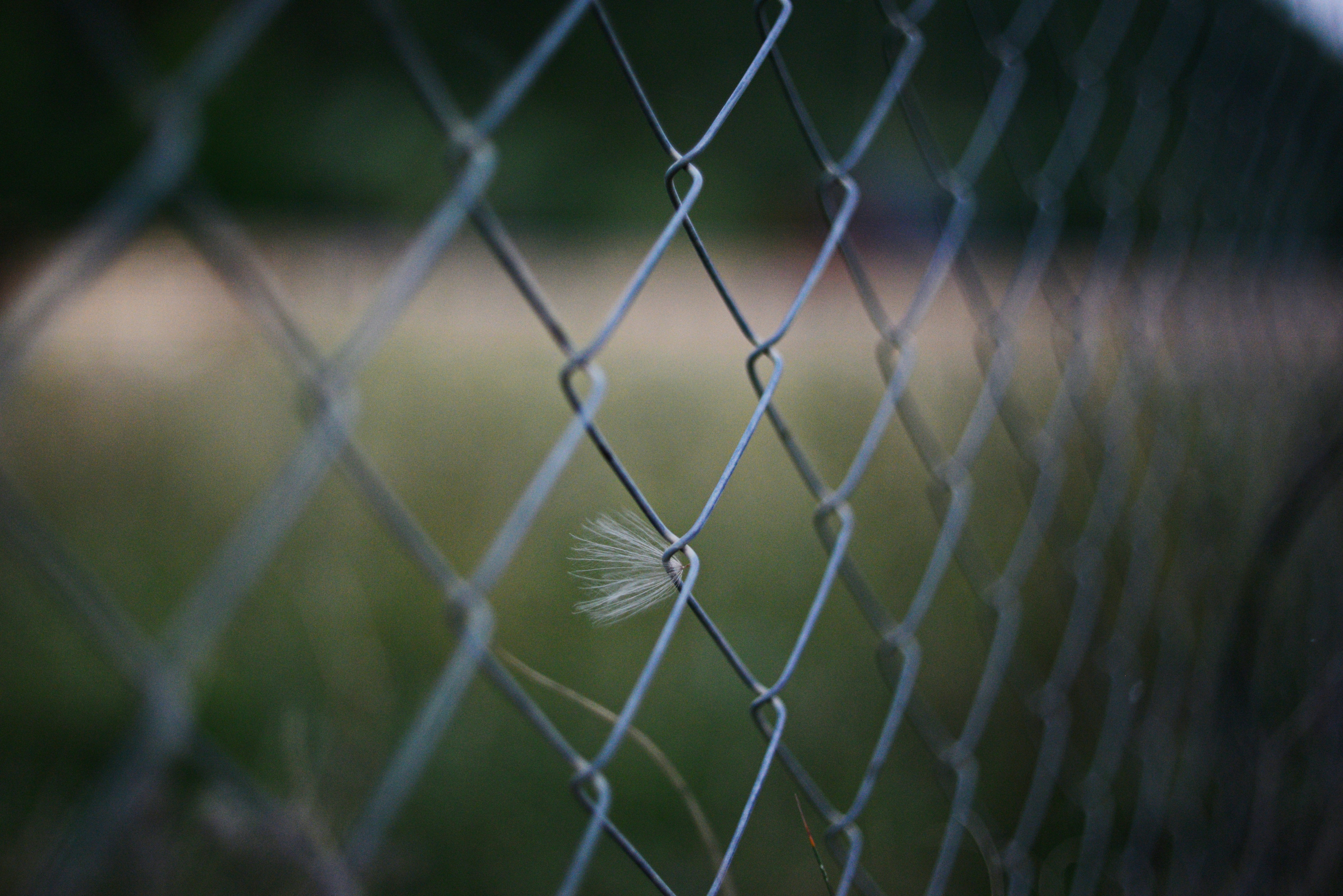 A close up of a chain link fence photo – Free Power Image on Unsplash