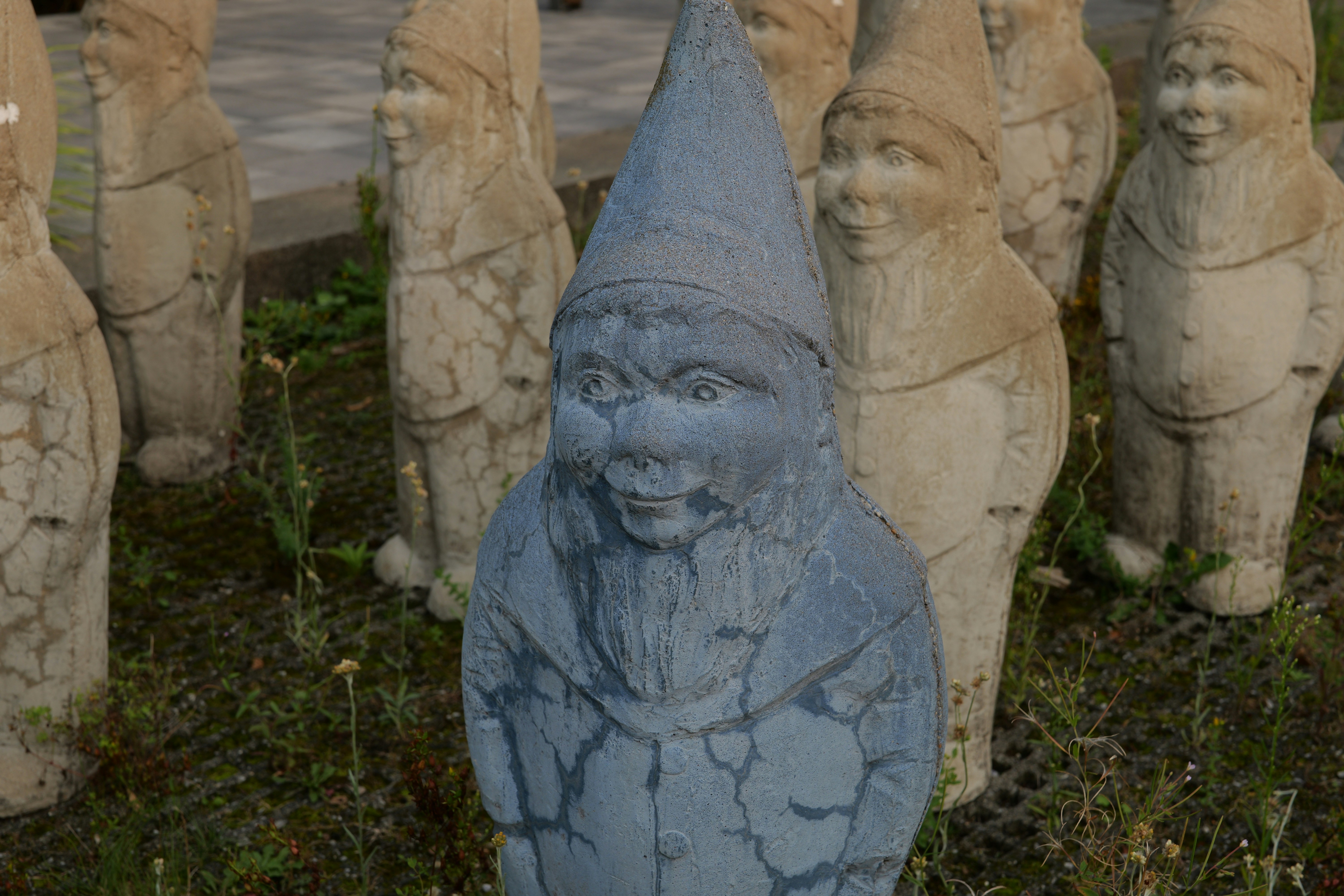 A group of statues of gnomes sitting in the grass photo – Free Woman ...