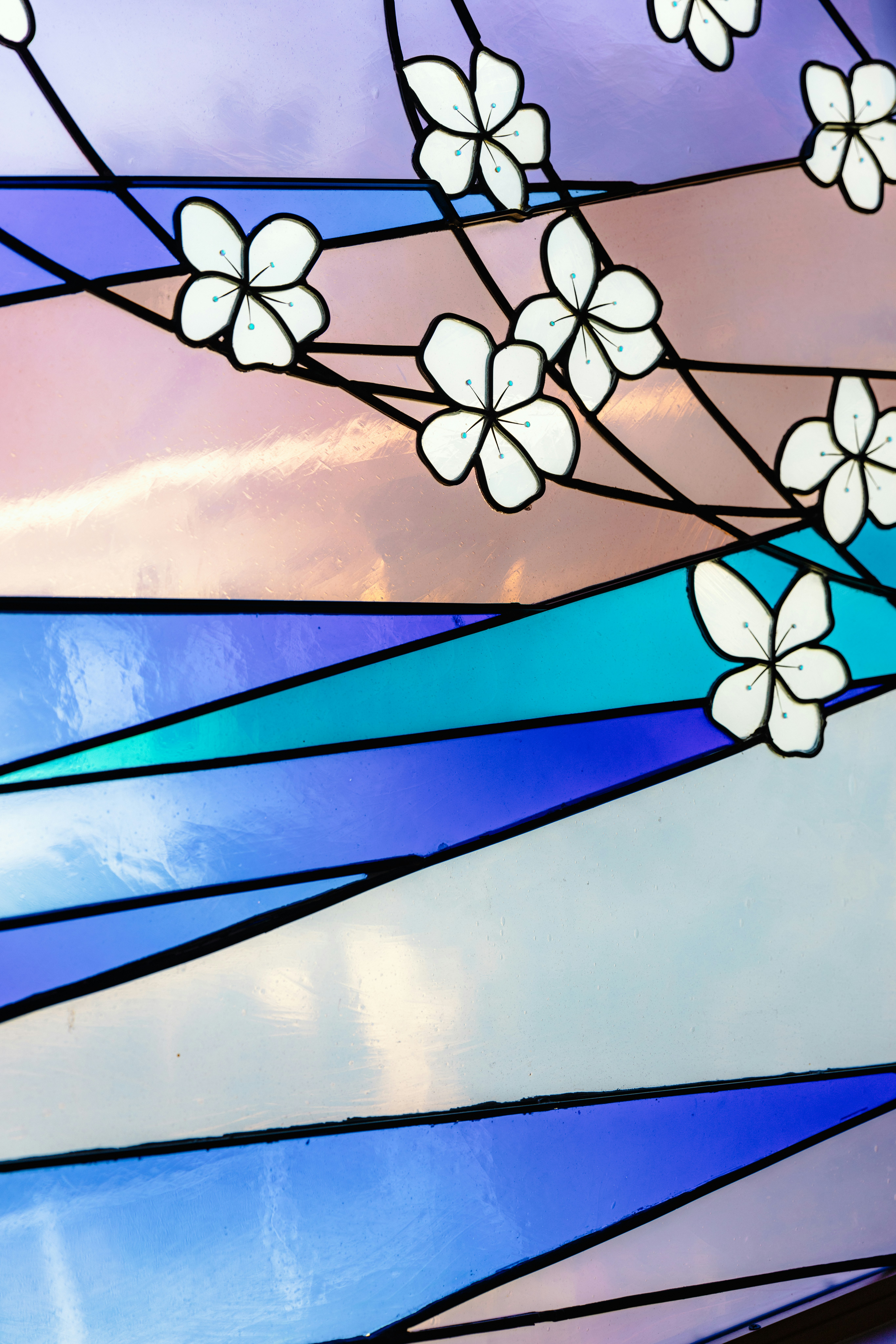 Petals on Prism: A Stained-Glass Bloom Across Gradient Light