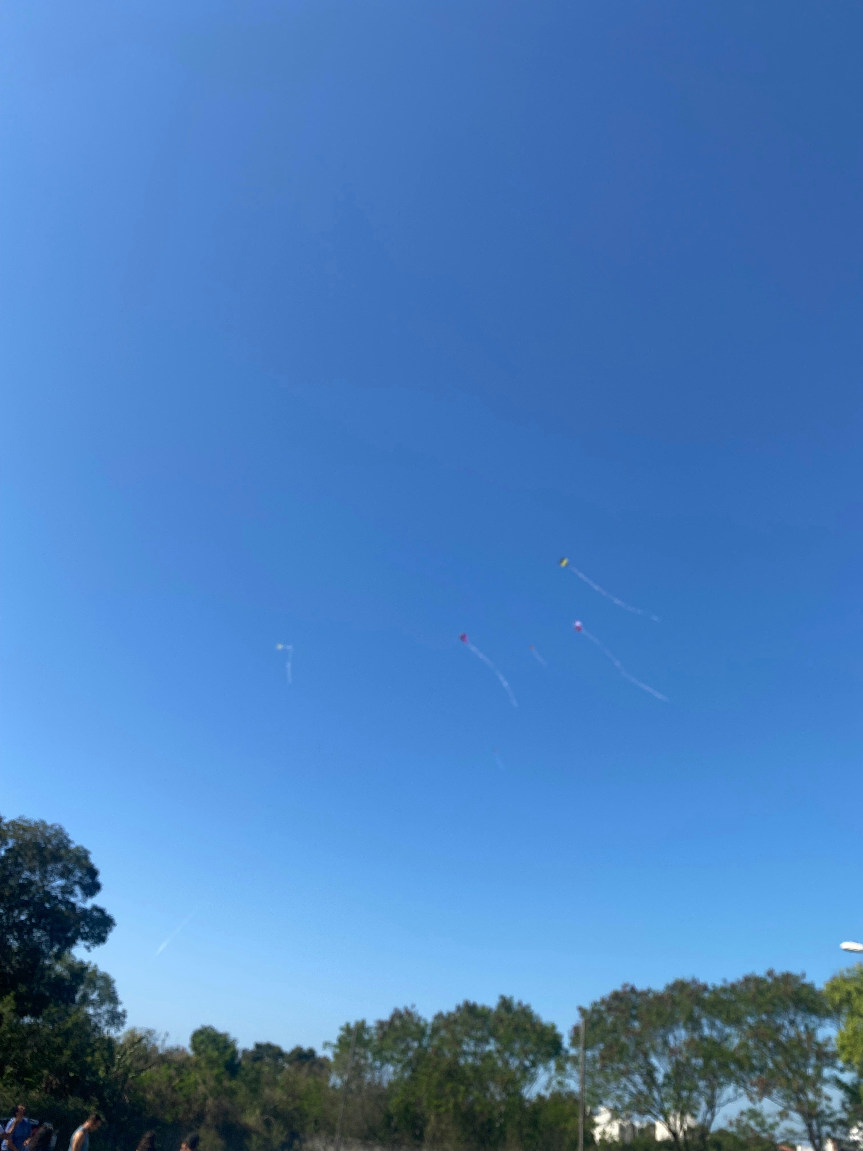 Three Bright Kites Trace Curved Trails Across a Clear Blue Sky