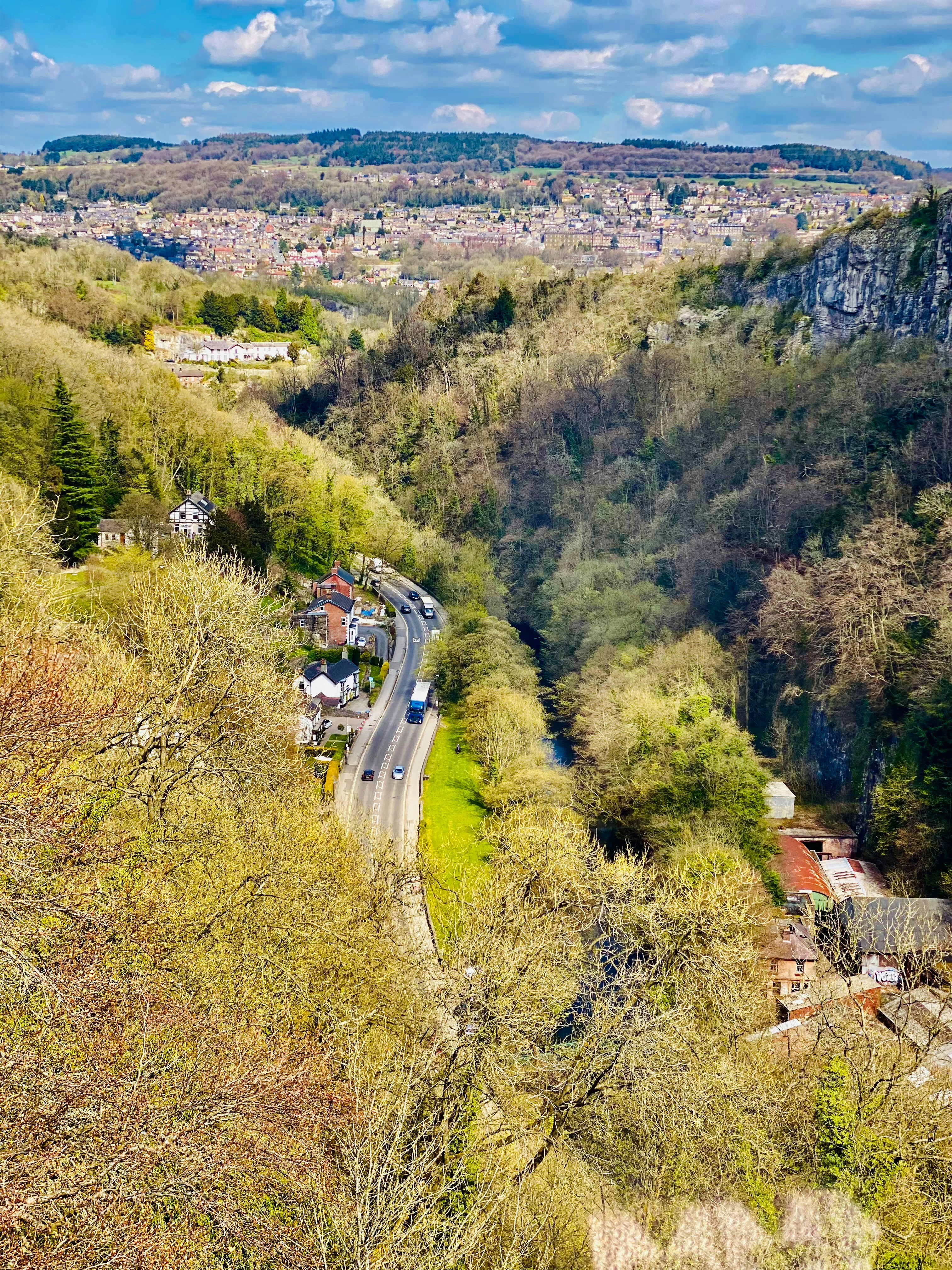 Valley Ribbon: A Winding Road Carved Through Spring Canopy