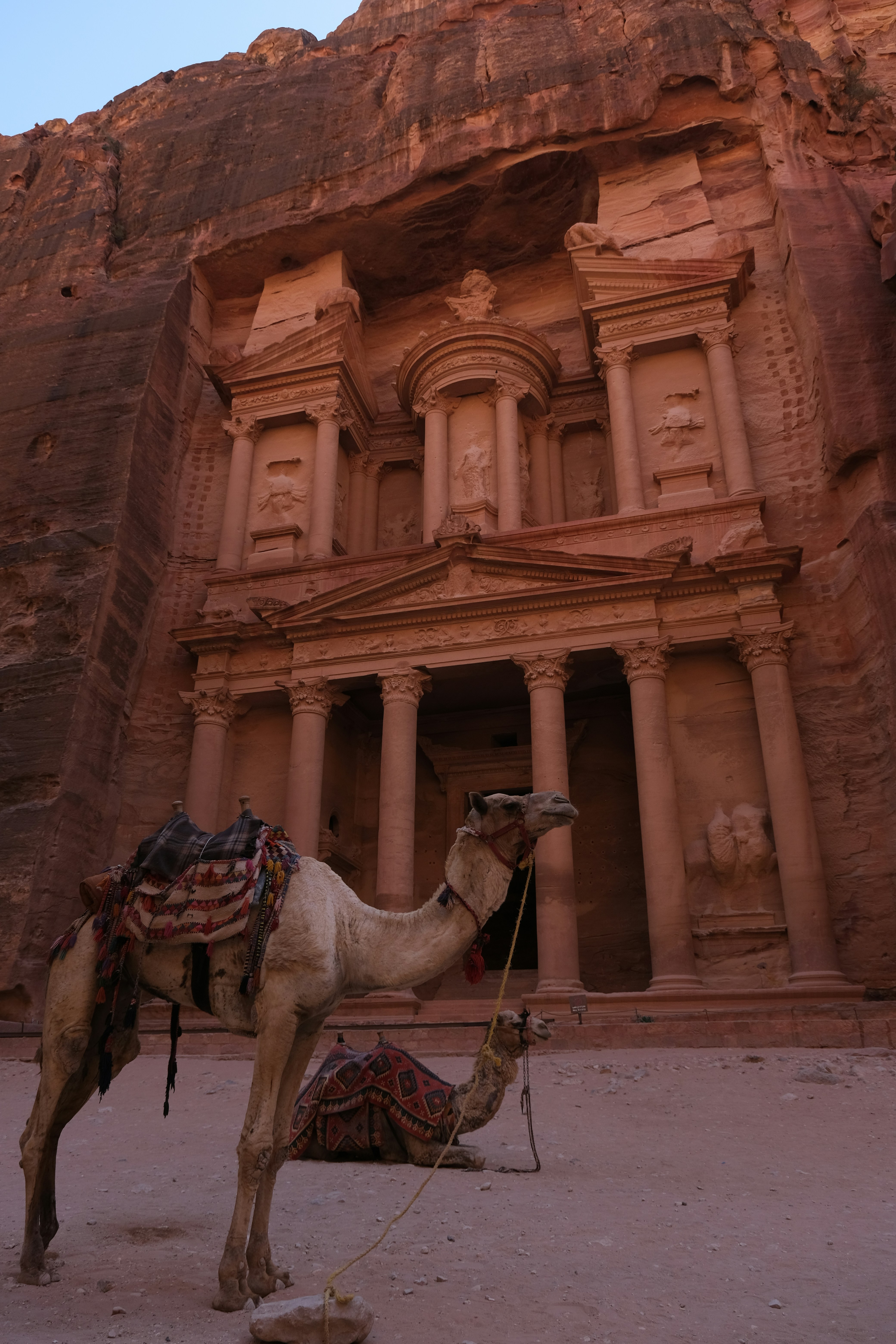 A camel standing in front of a building in the desert photo – Free ...