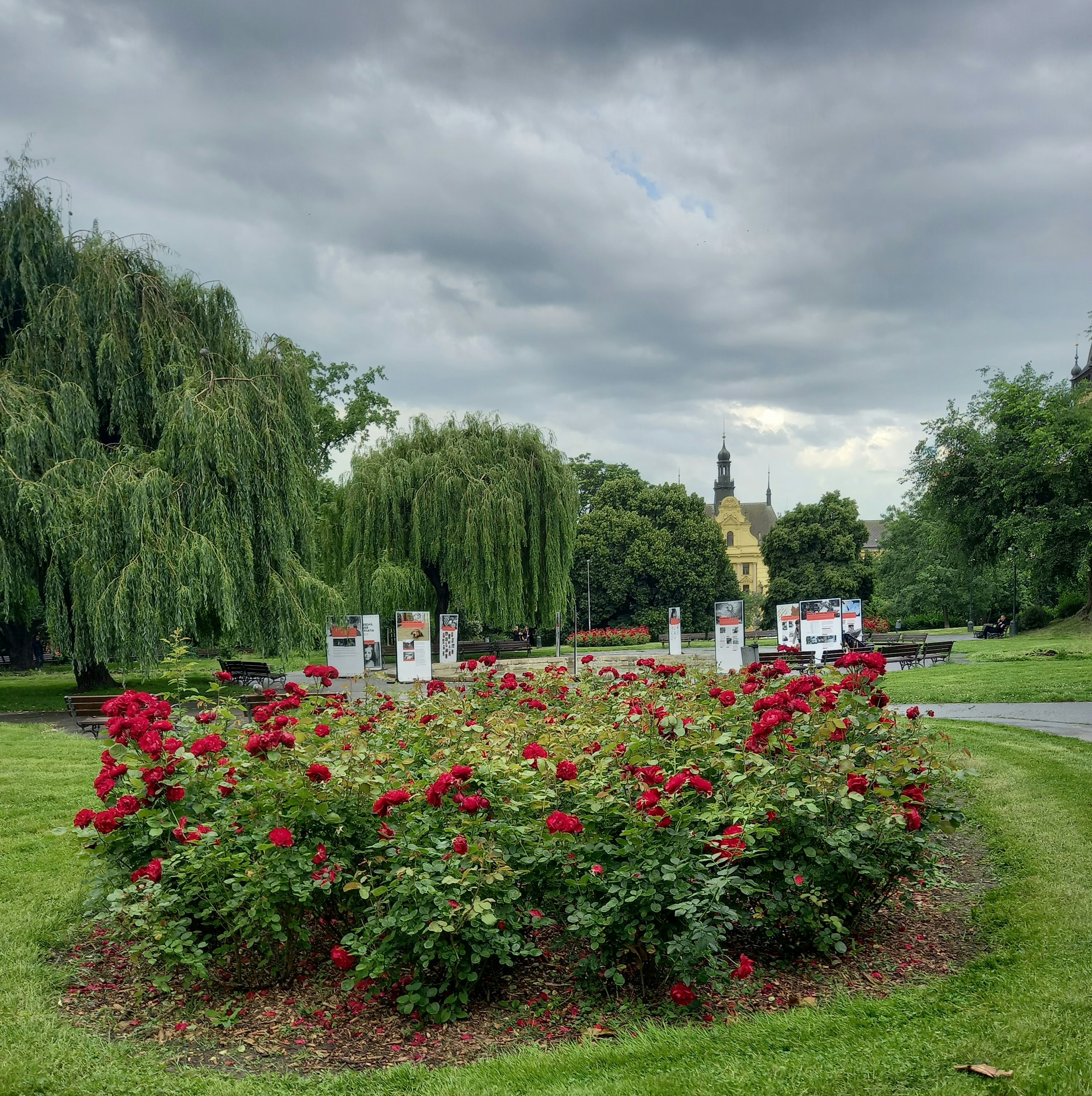 Photo by Tetiana Papilota with Samsung Galaxy A31