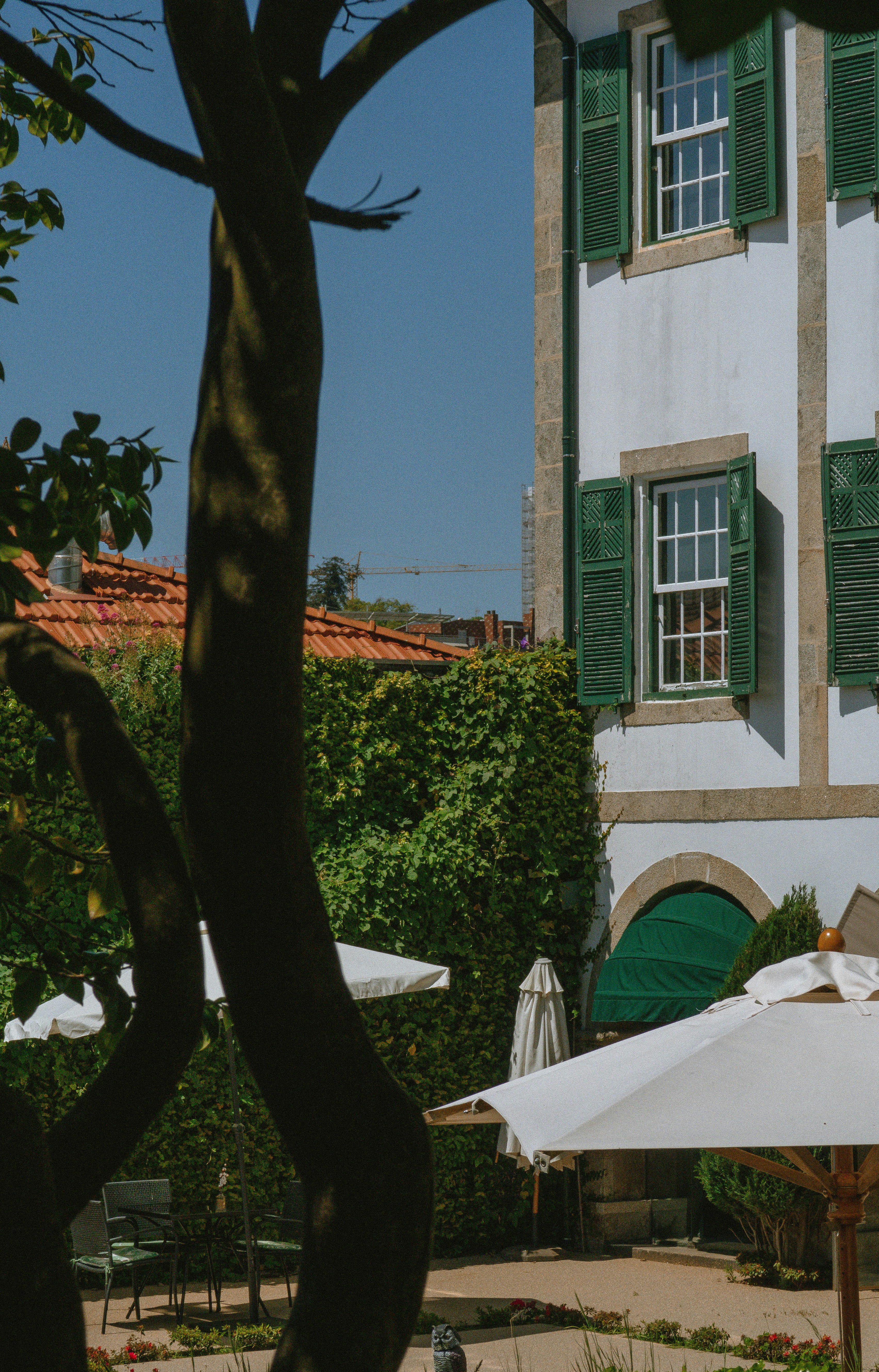 Photo by Keith Mapeki with Canon PowerShot G7 X Mark II