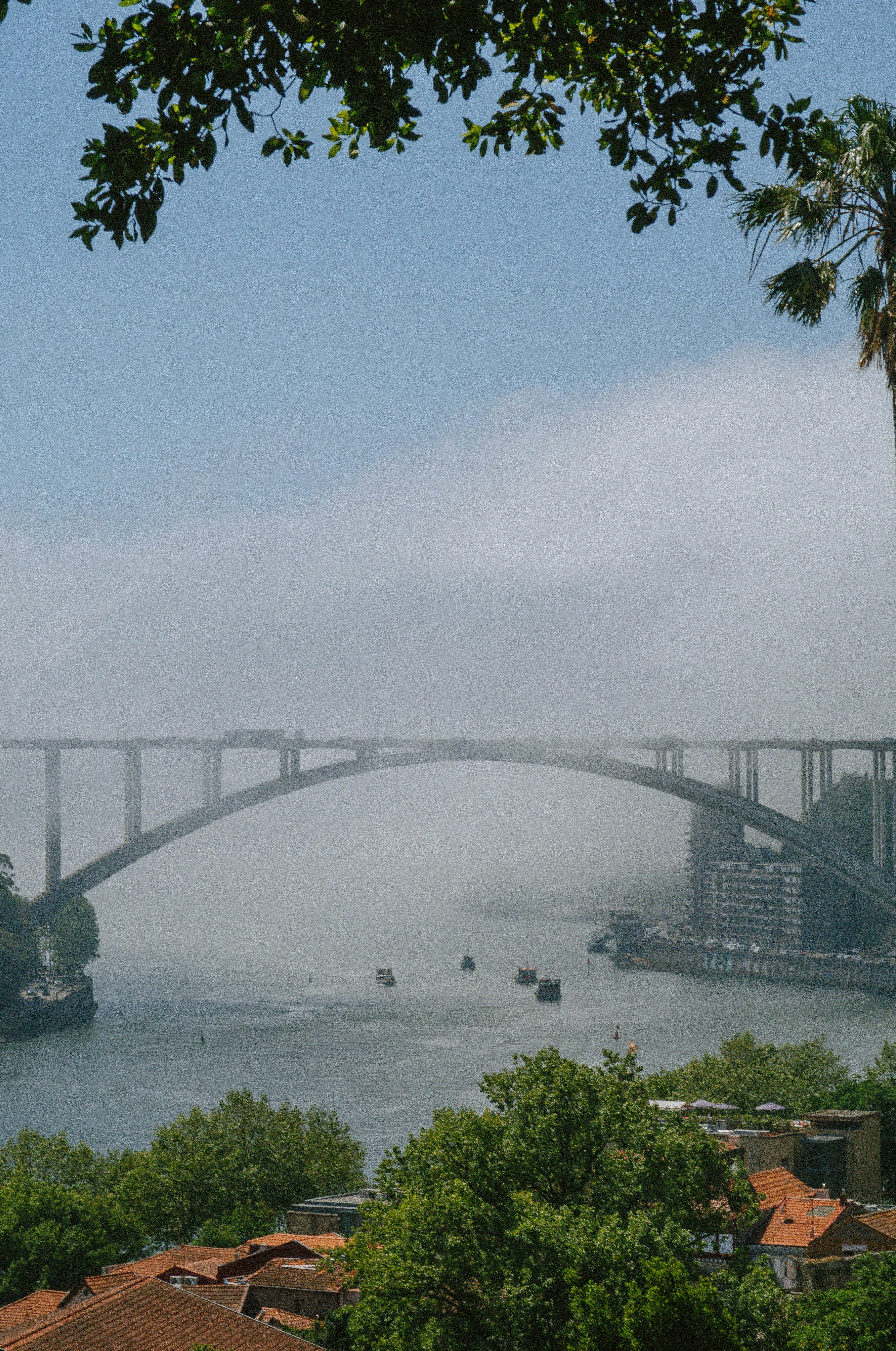 The Misty Arc Over a Quiet River