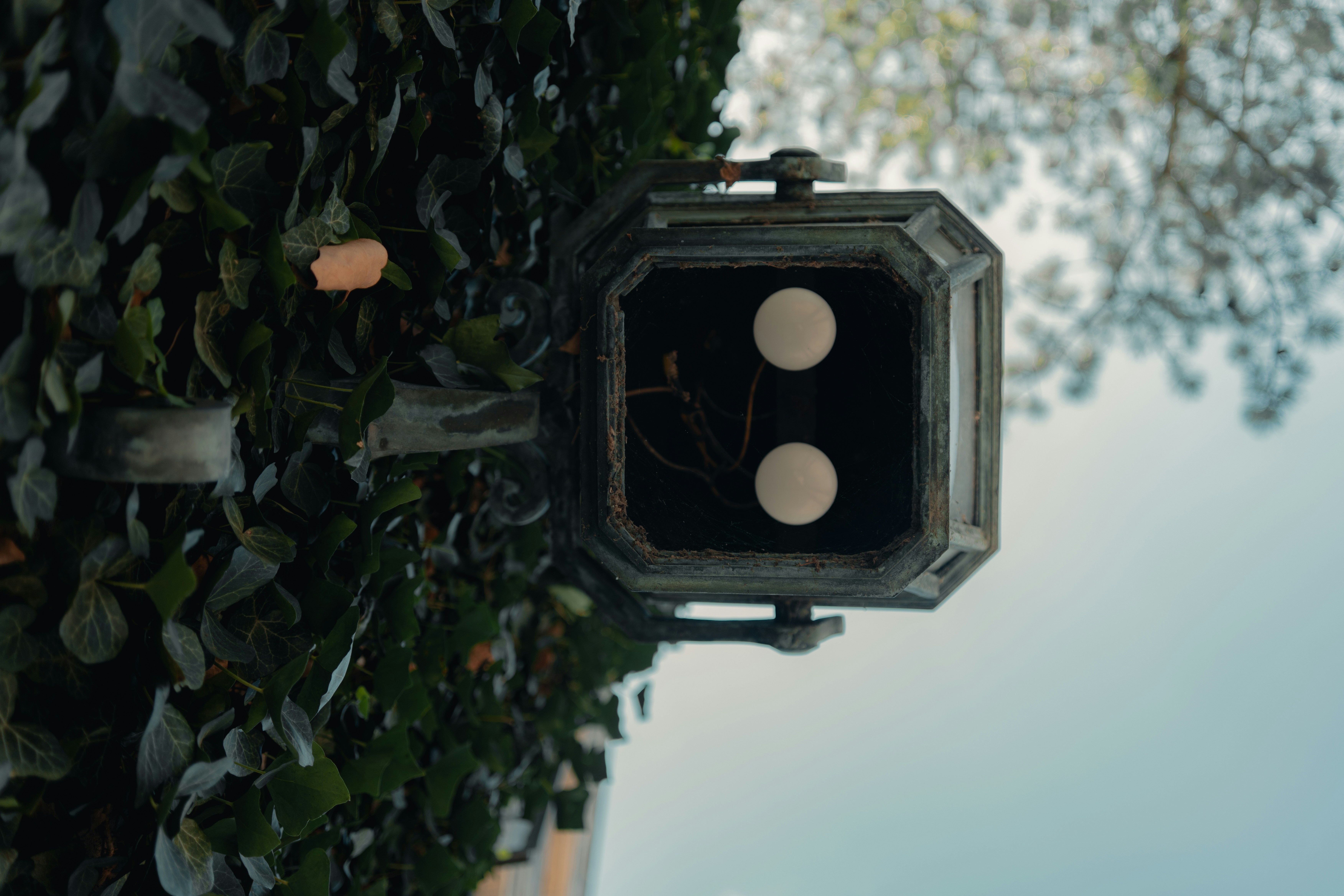 Ivy-Embraced Lantern: Dual Orbs in a Quiet Garden