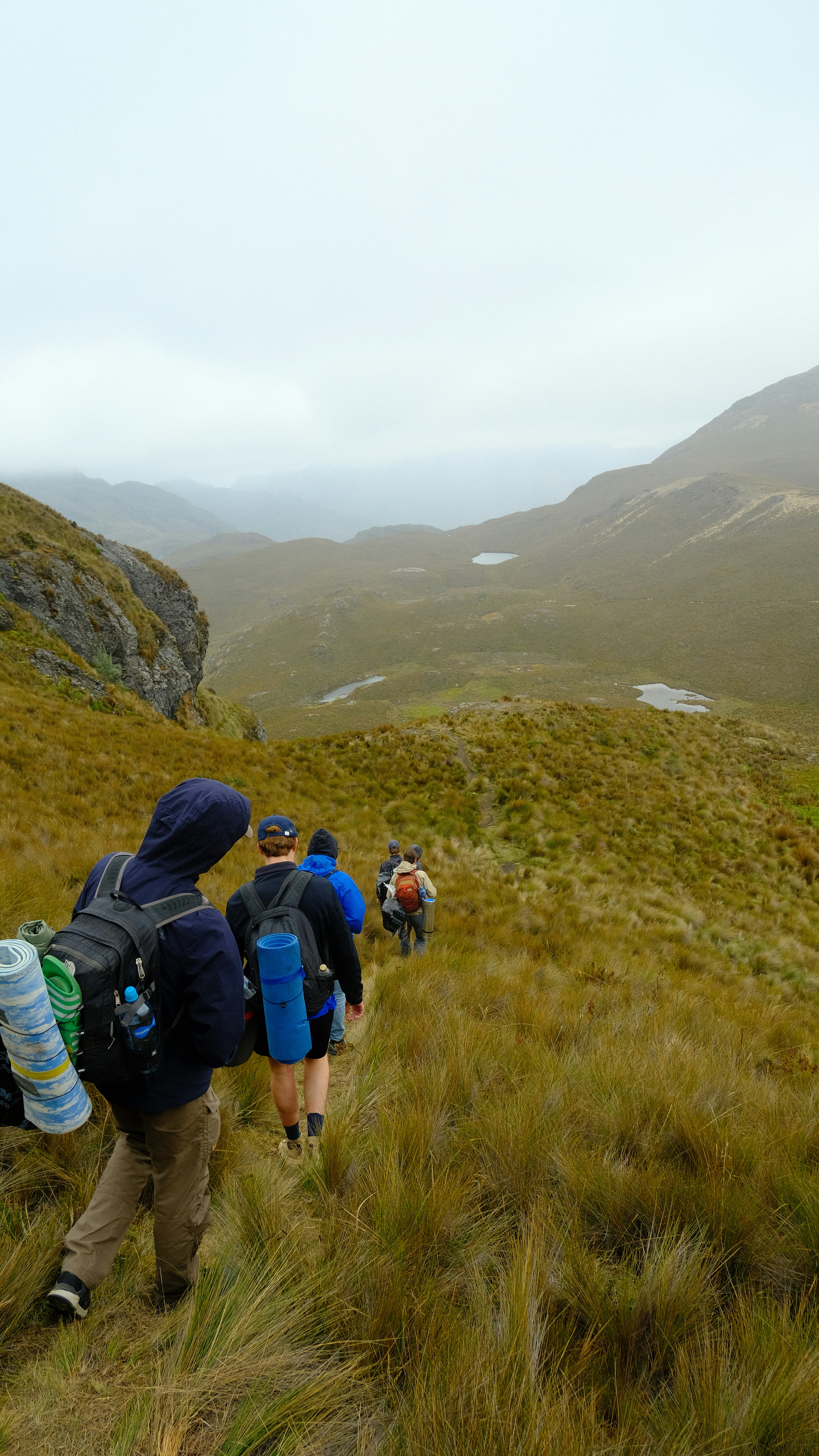 Trekking into the Mist: Hikers on a Grassy Highland Ridge