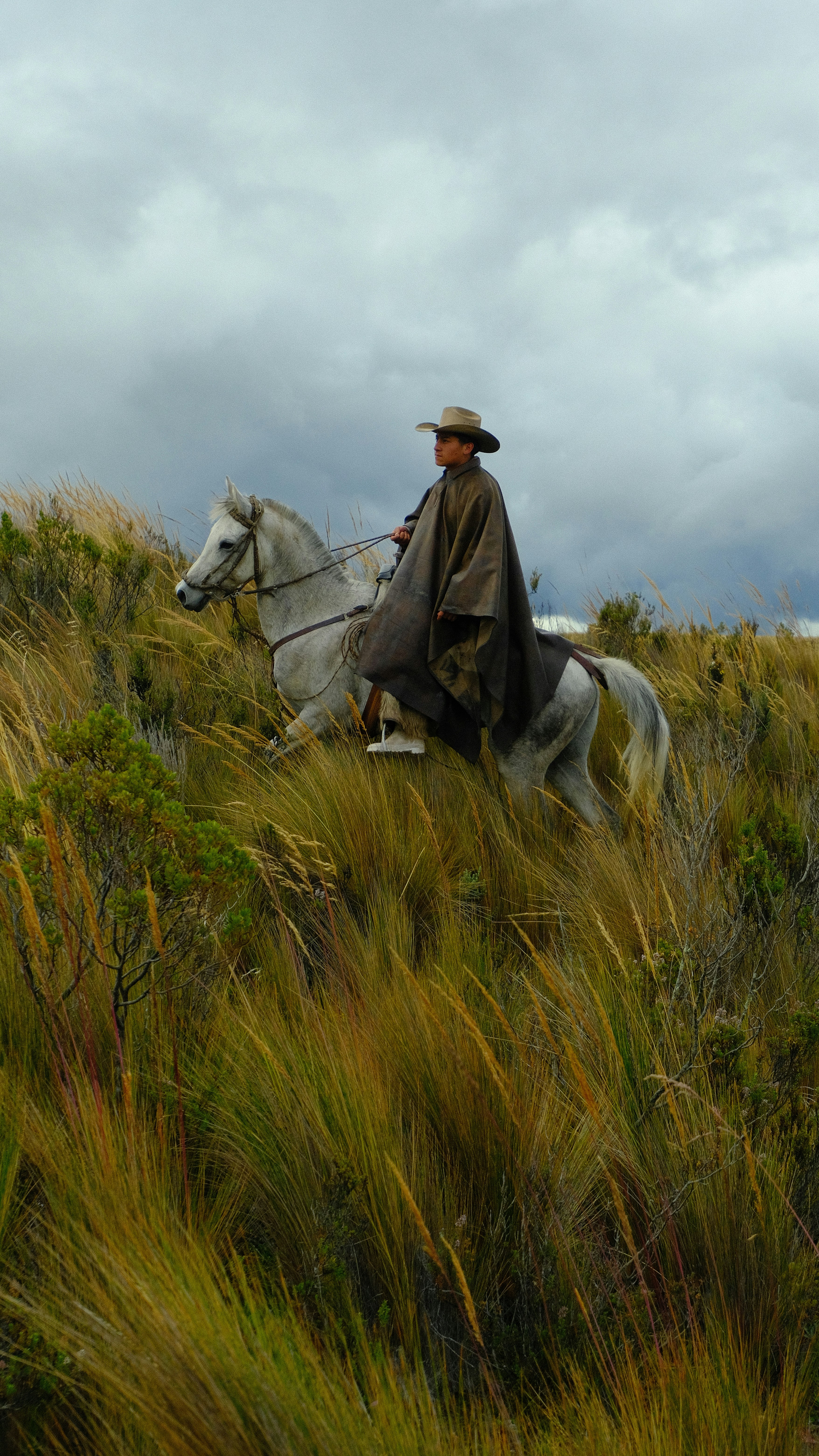 Un hombre cabalgando a lomos de un caballo blanco foto – Imagen de ...