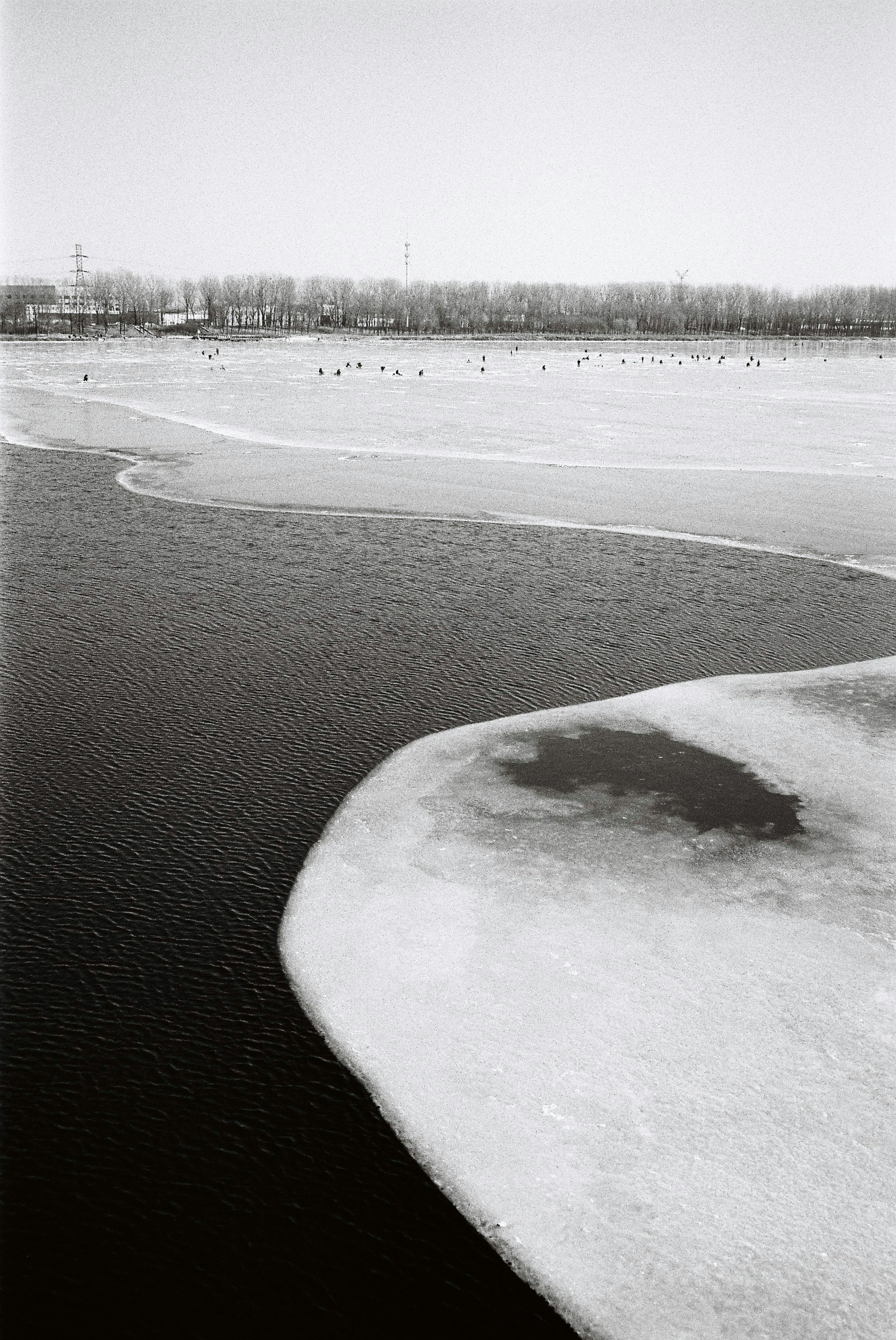 Ice Edge Crossing: A Quiet Confluence of Water, Ice, and Shore