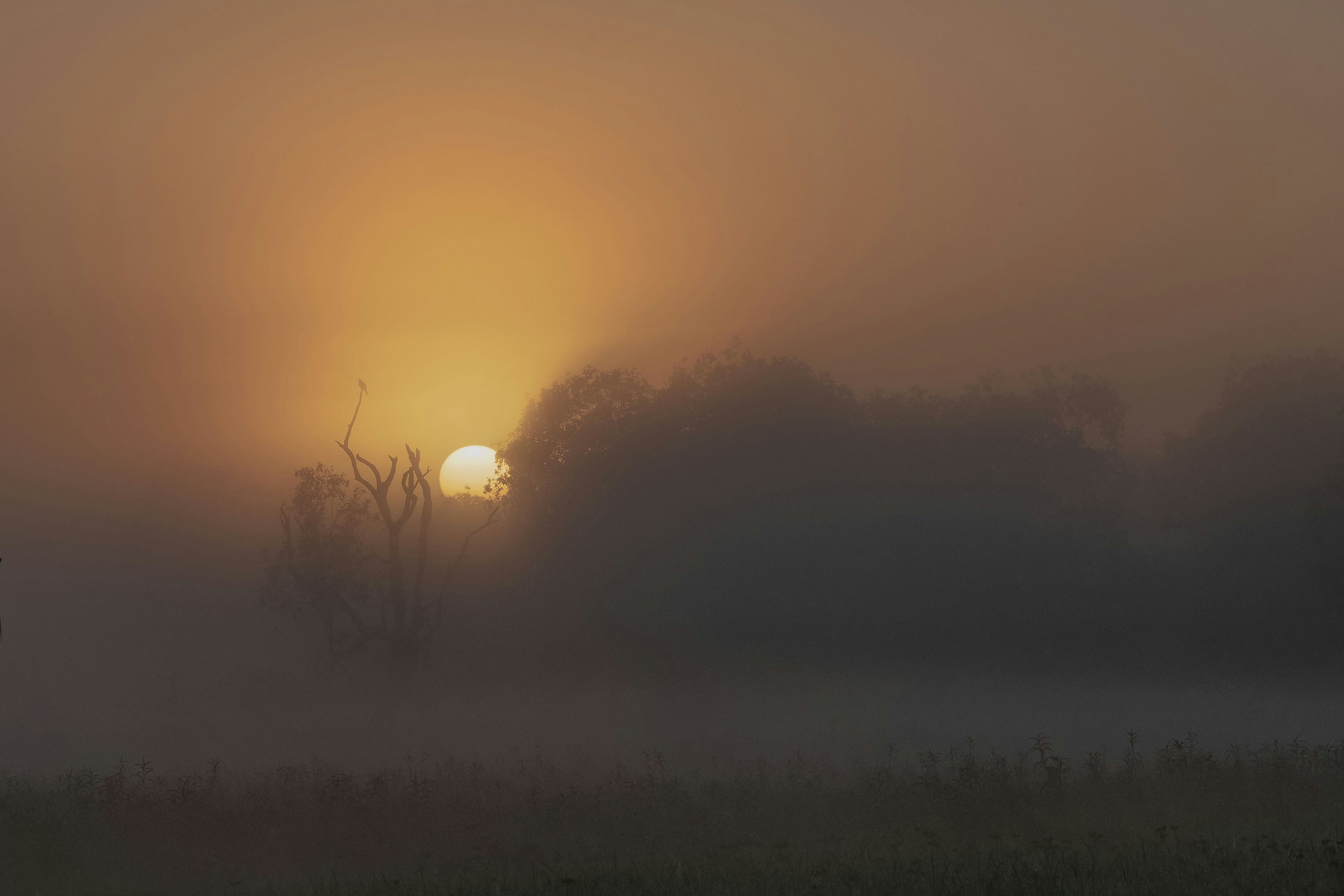 Photo by Wietse Jongsma with Sony Cyber-shot RX10 IV