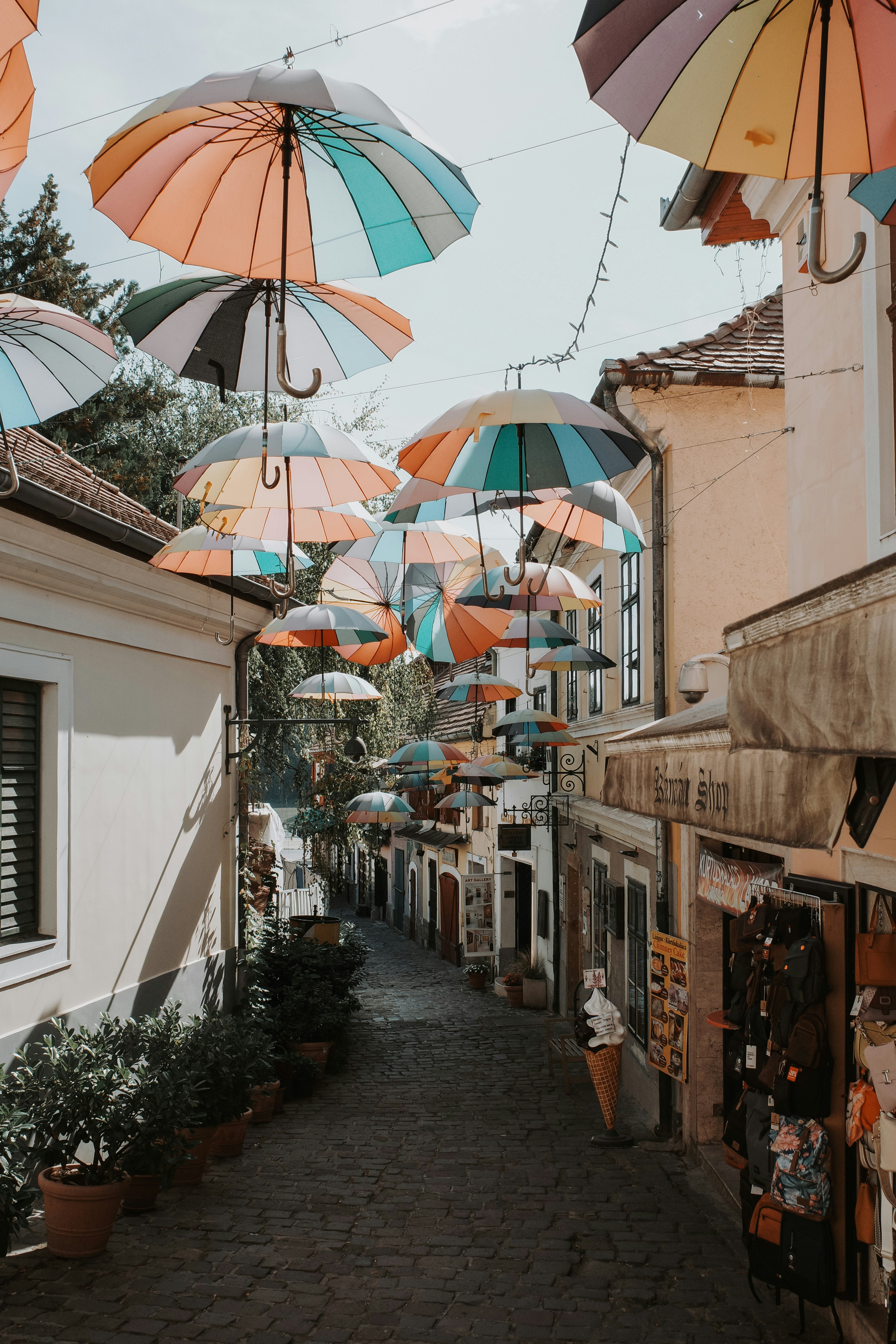 Street of Colored Umbrellas: A Corridor of Light and Shade